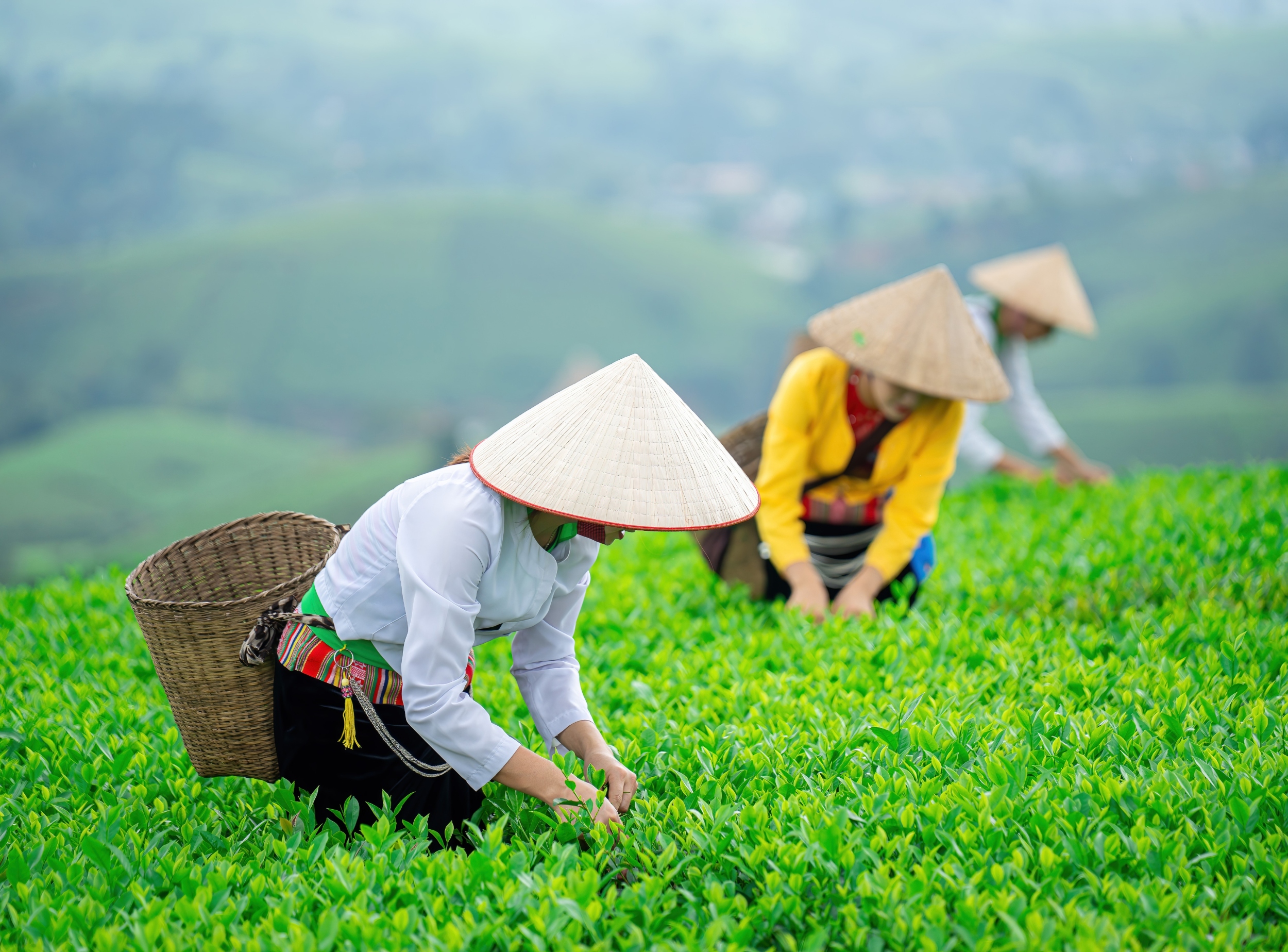 Future incomes will shrink as the planet warms - Earth.com