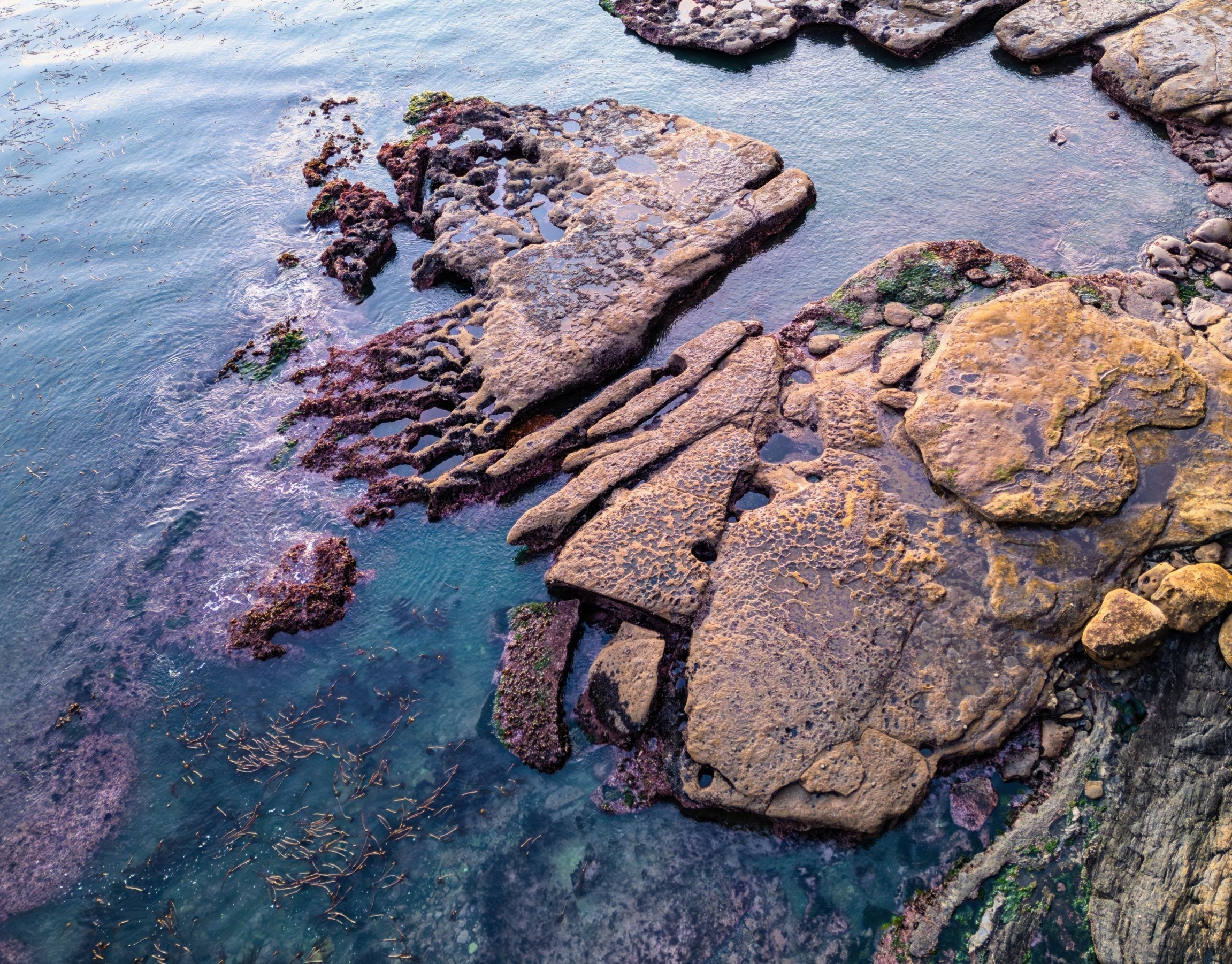 Earth's crust is ripping apart deep beneath the Pacific Northwest ...