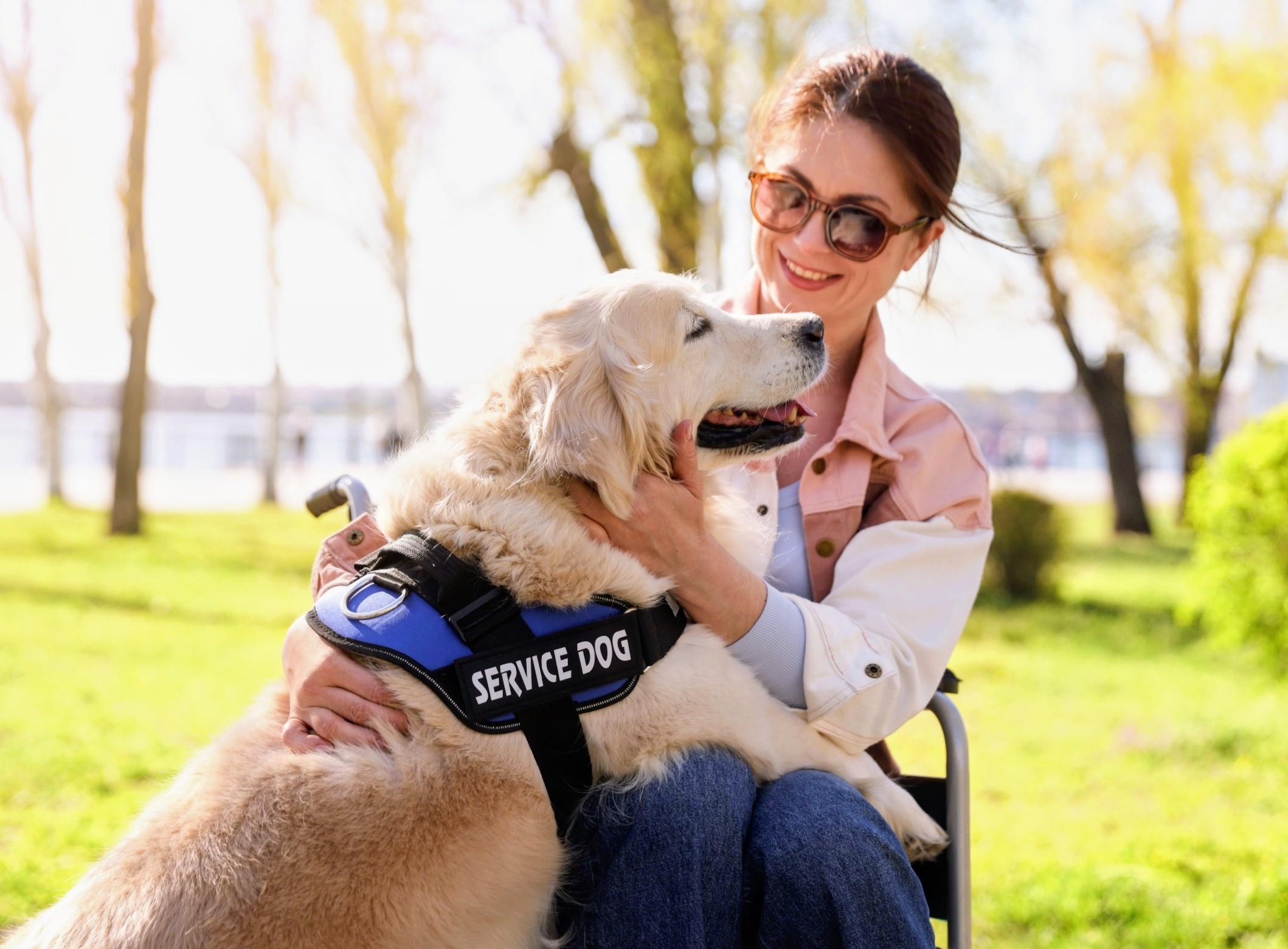 Training service dogs slows aging and stress in veterans - Earth.com