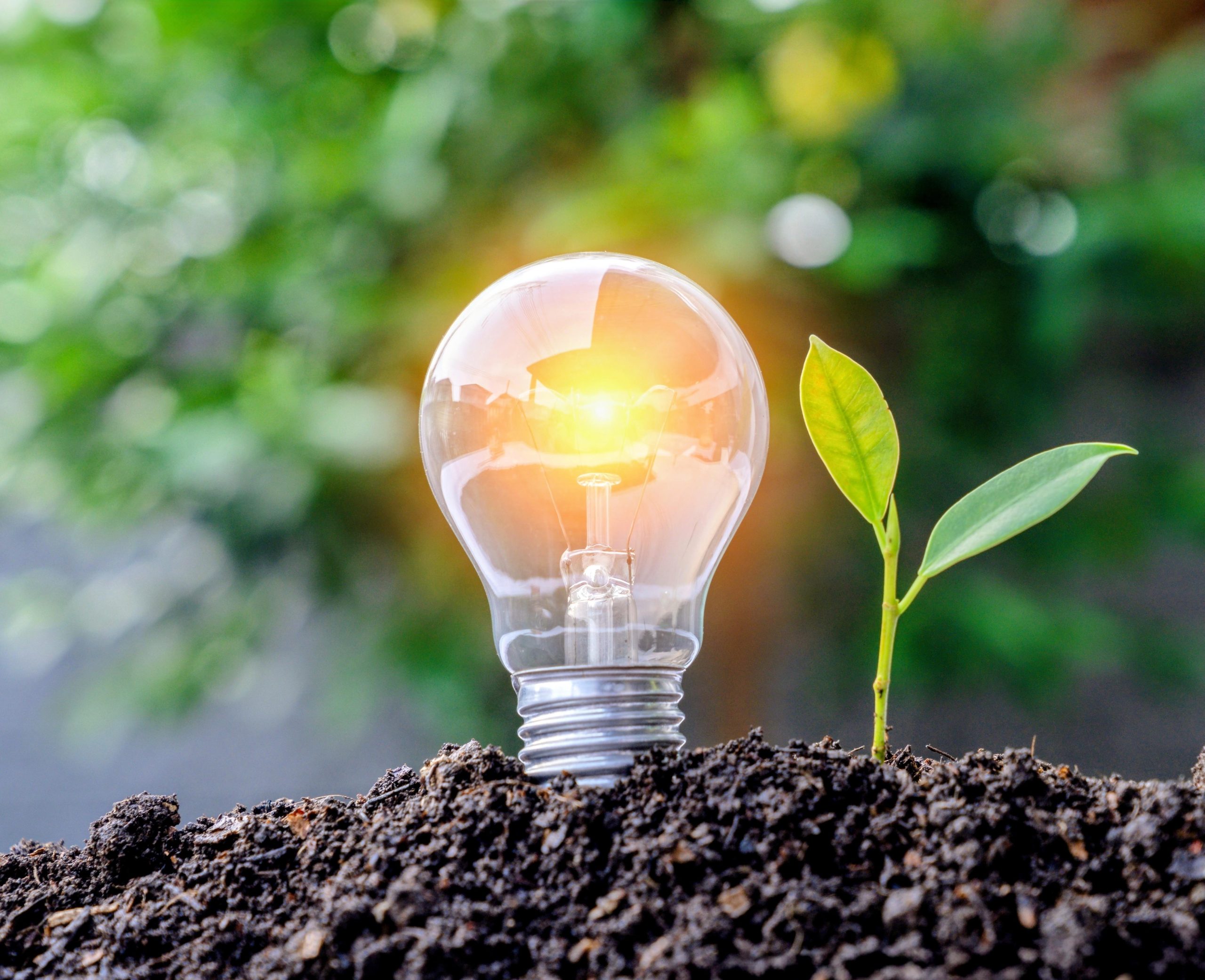 'Soil batteries' use sunlight to fight pollution in the dark - Earth.com