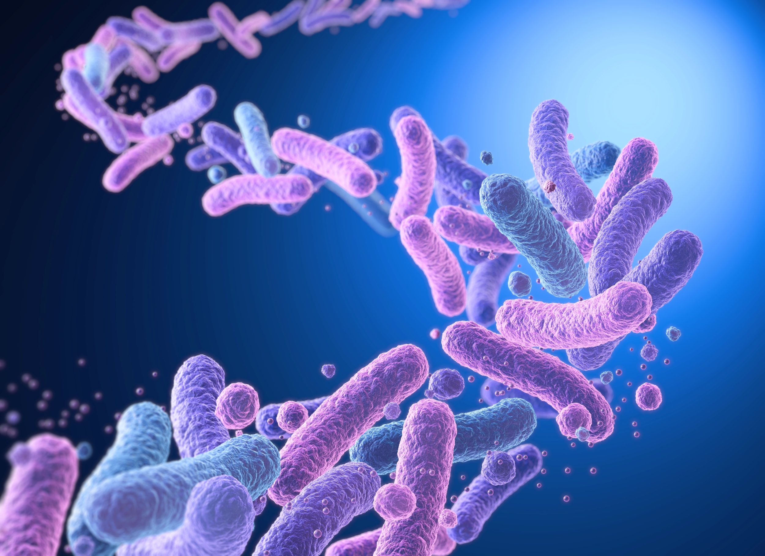 How gut bacteria learn and evolve - and shape your future health ...