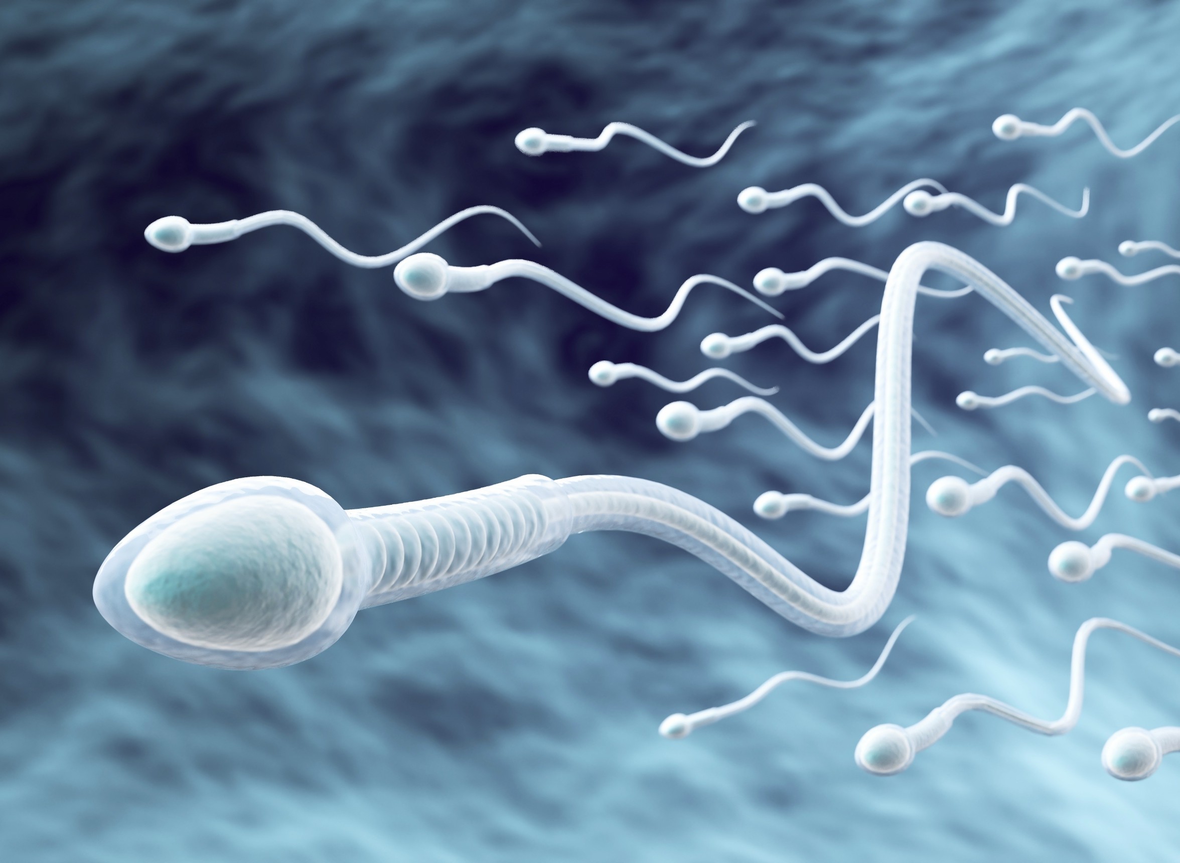 Male fertility: Scientists find the trigger that powers sperm - Earth.com
