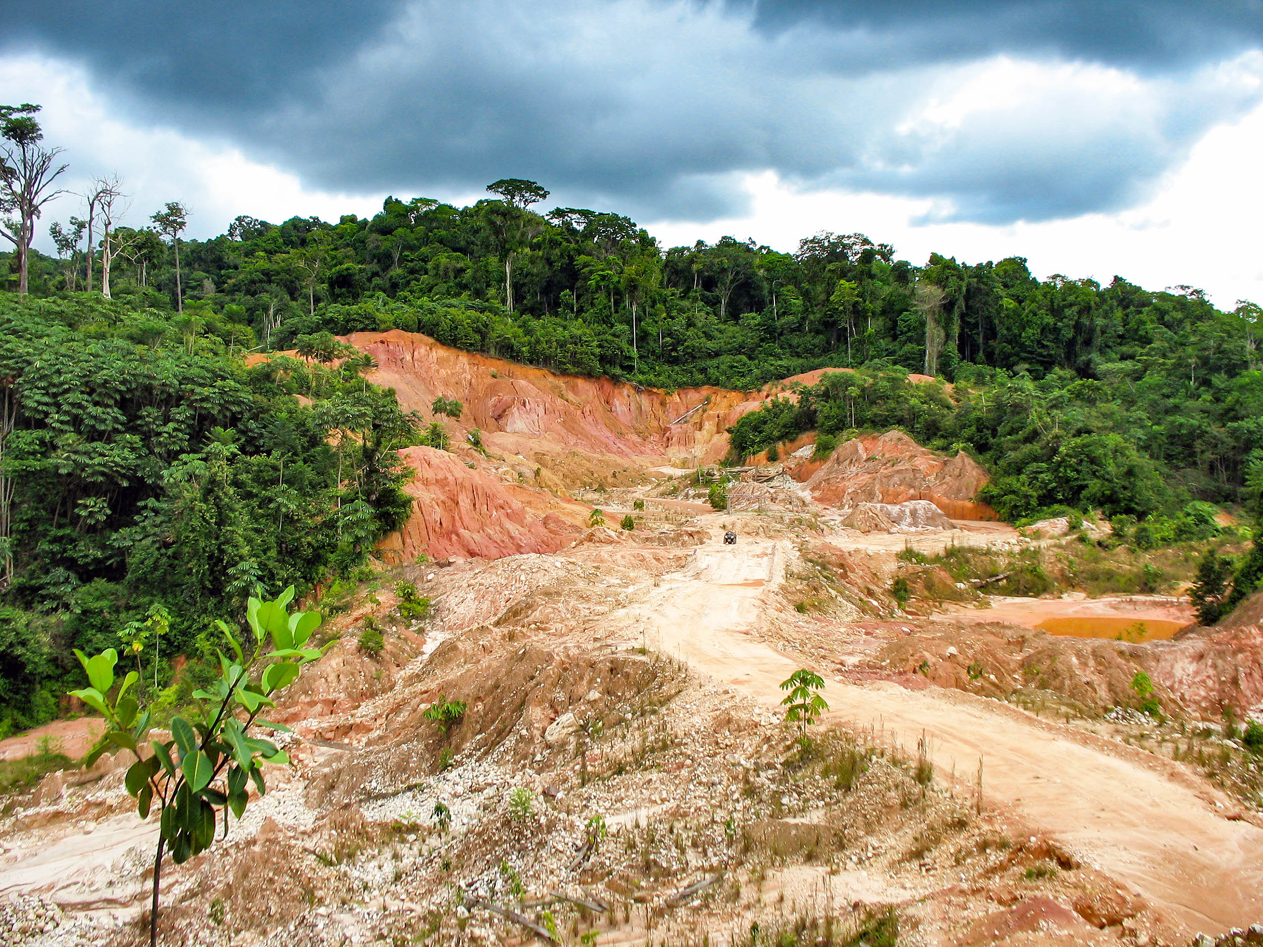 Gold mining is destroying the Amazon rainforest from within - Earth.com