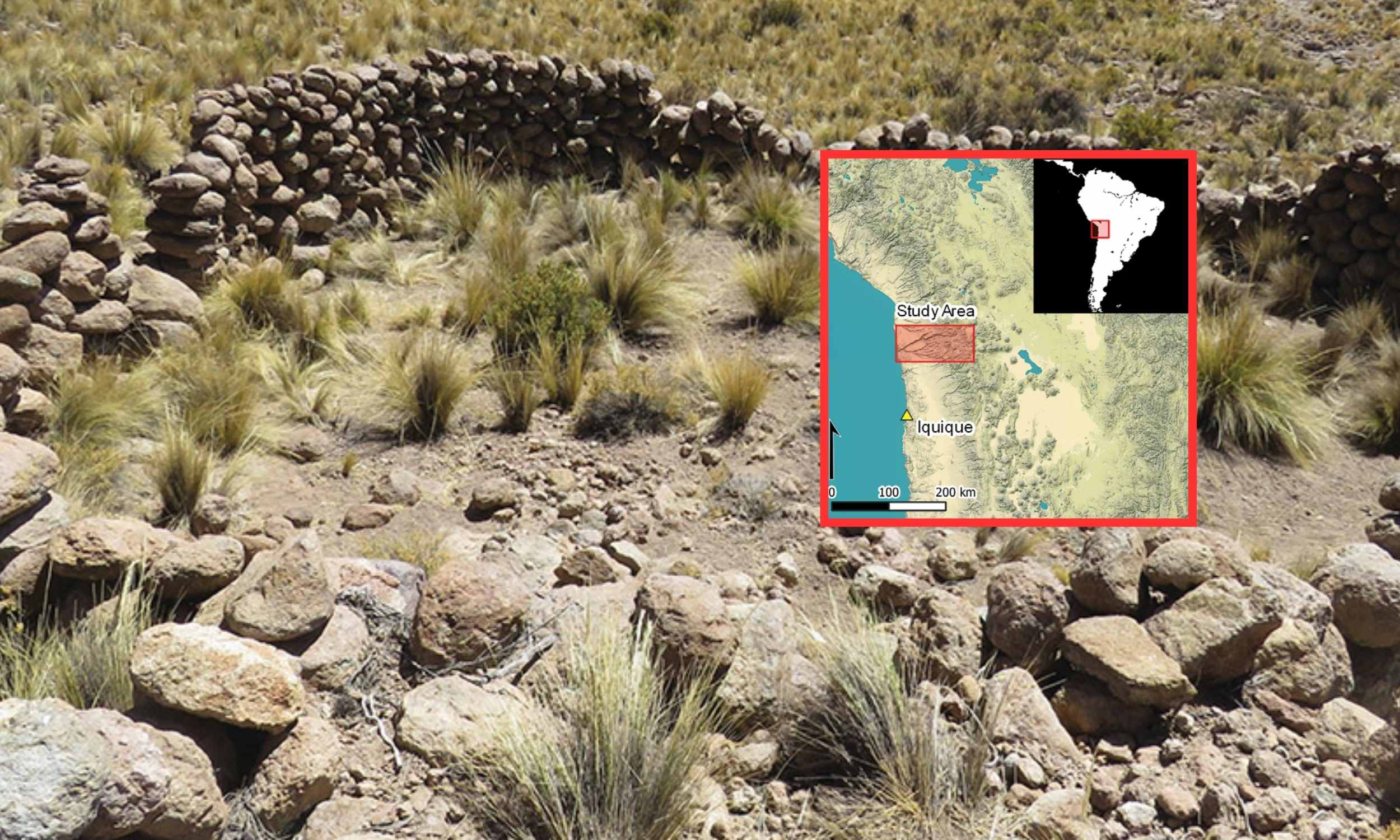 Massive funnel-shaped traps reveal a 7th century hunting strategy ...