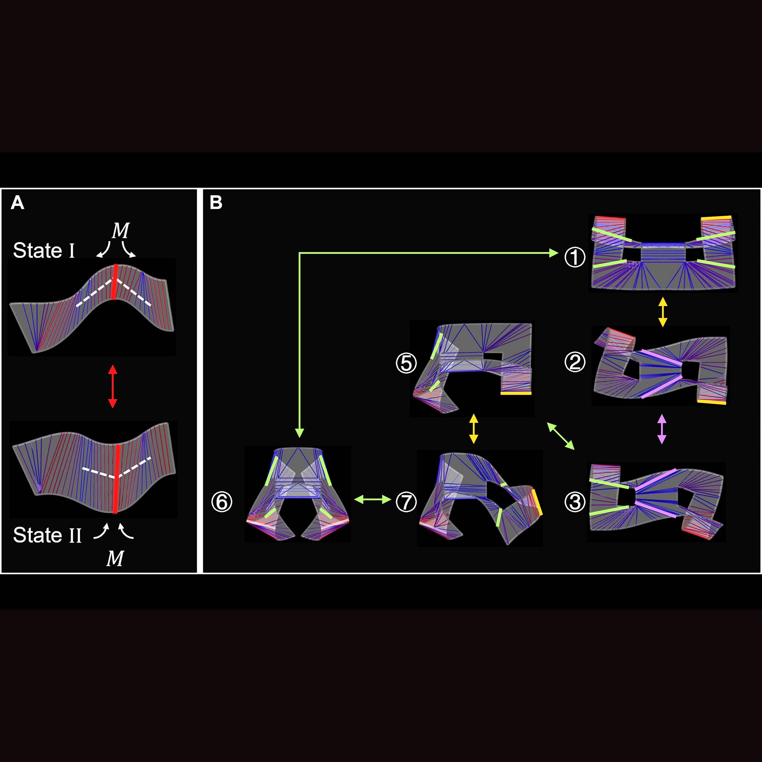 Soft robots called 'metabots' change shape on demand - Earth.com