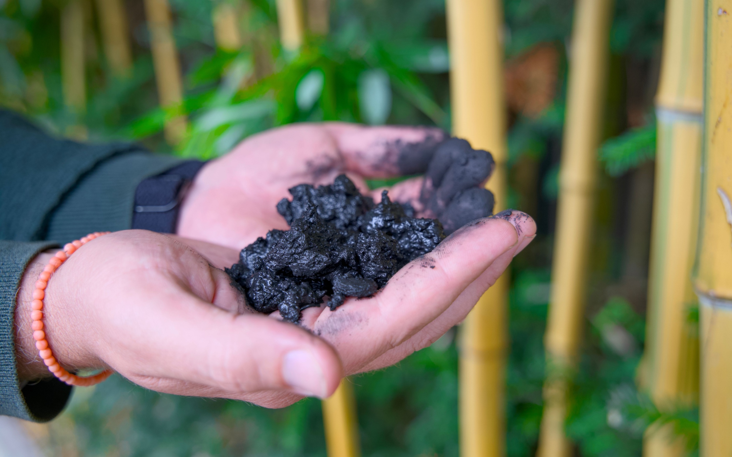 Biochar speeds composting while cutting greenhouse gases - Earth.com