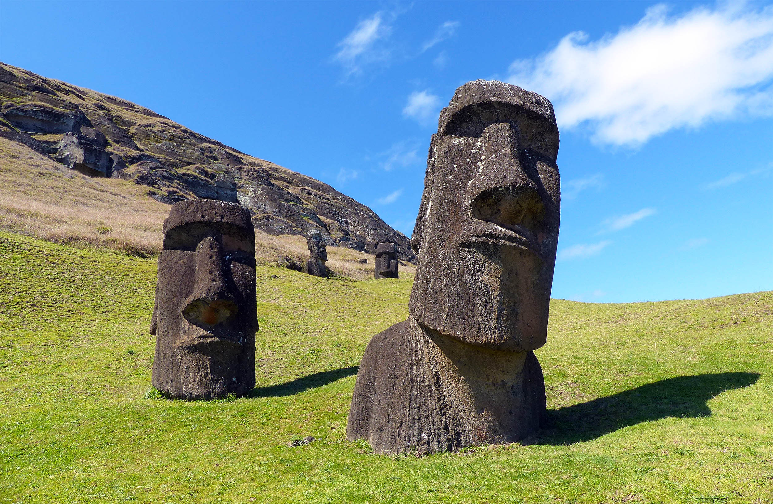 Video shows how the Easter Island moai statues 'walked' into place ...