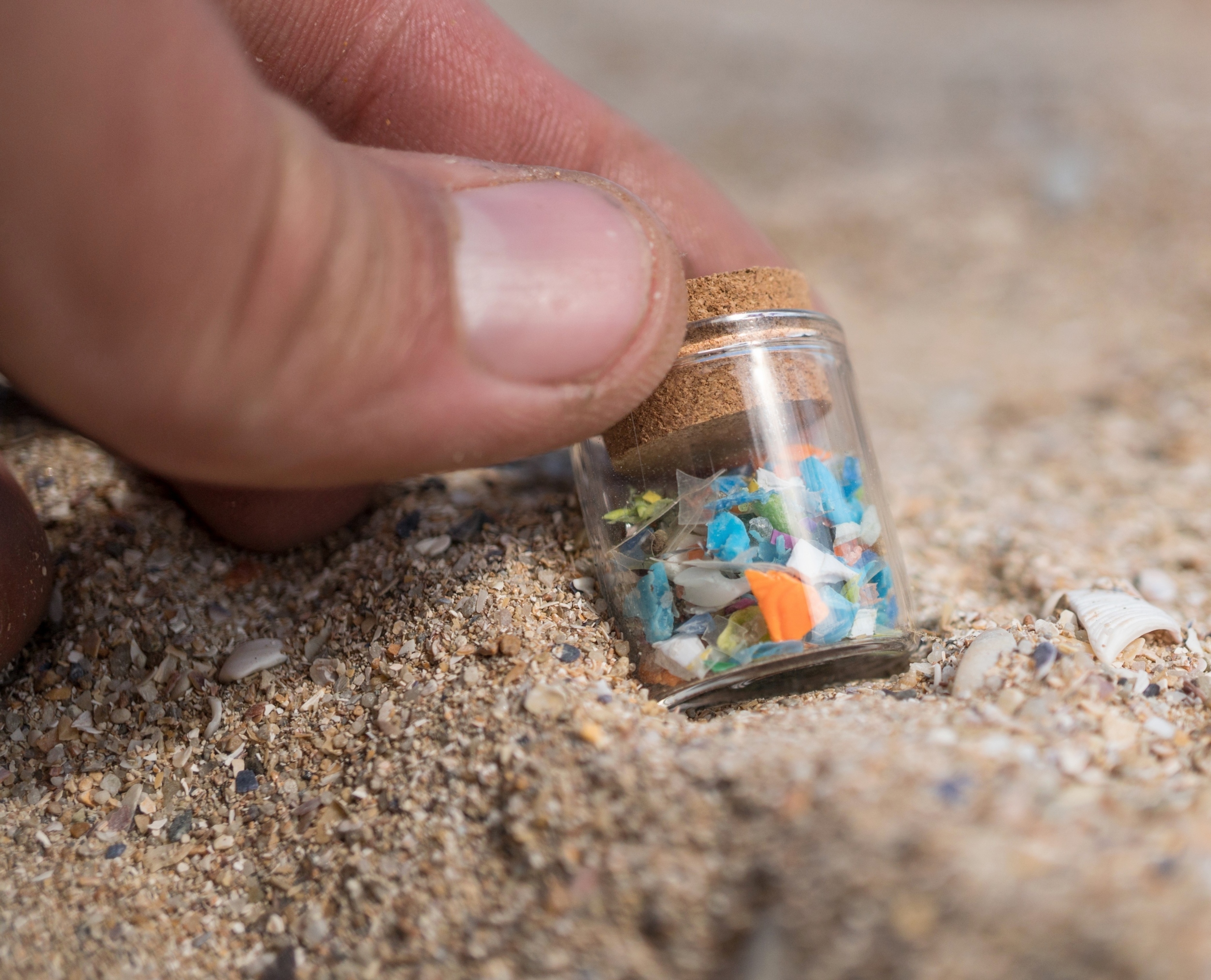 Floating ocean plastic will take more than a century to disappear ...
