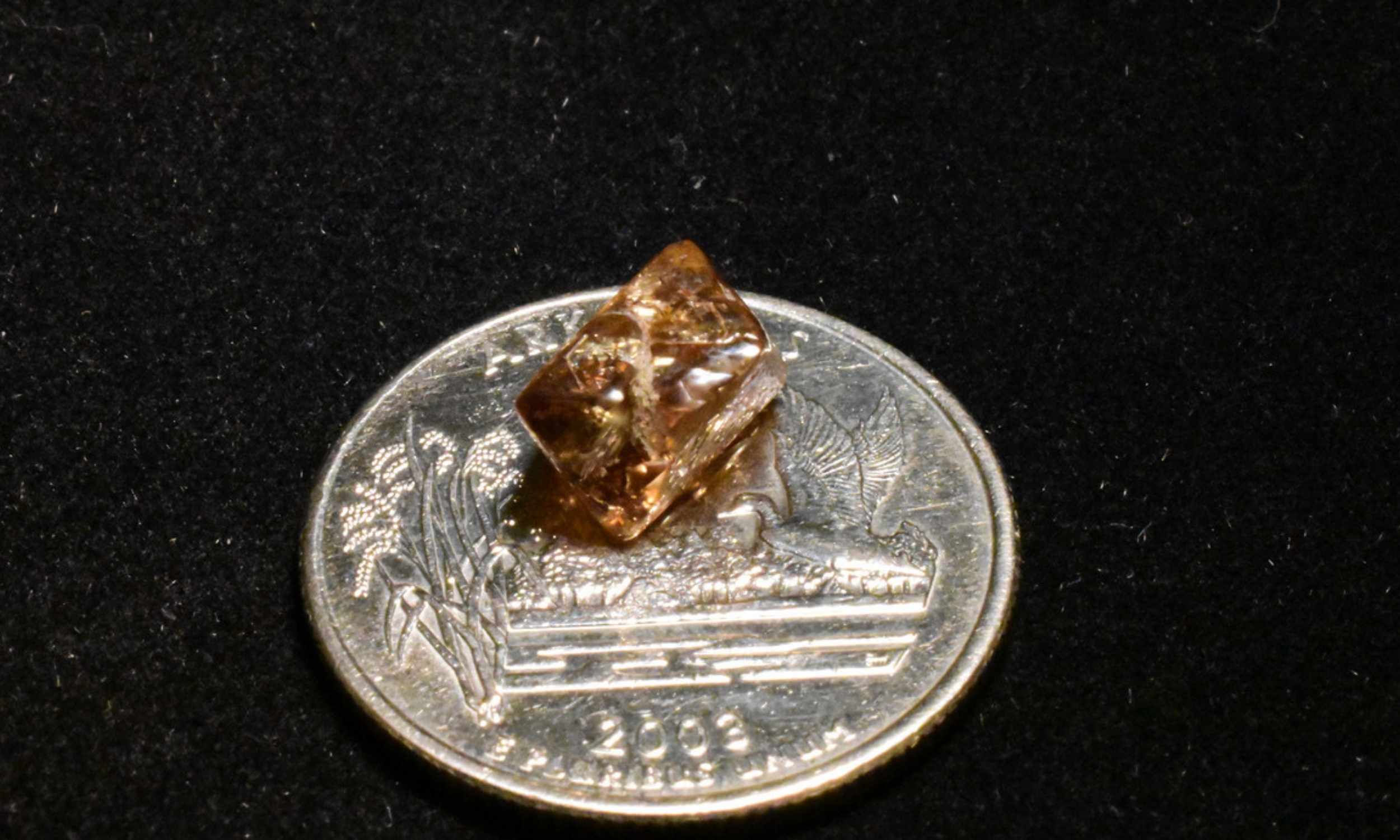 Tourist finds a four carat diamond and names it 'Duke' - Earth.com