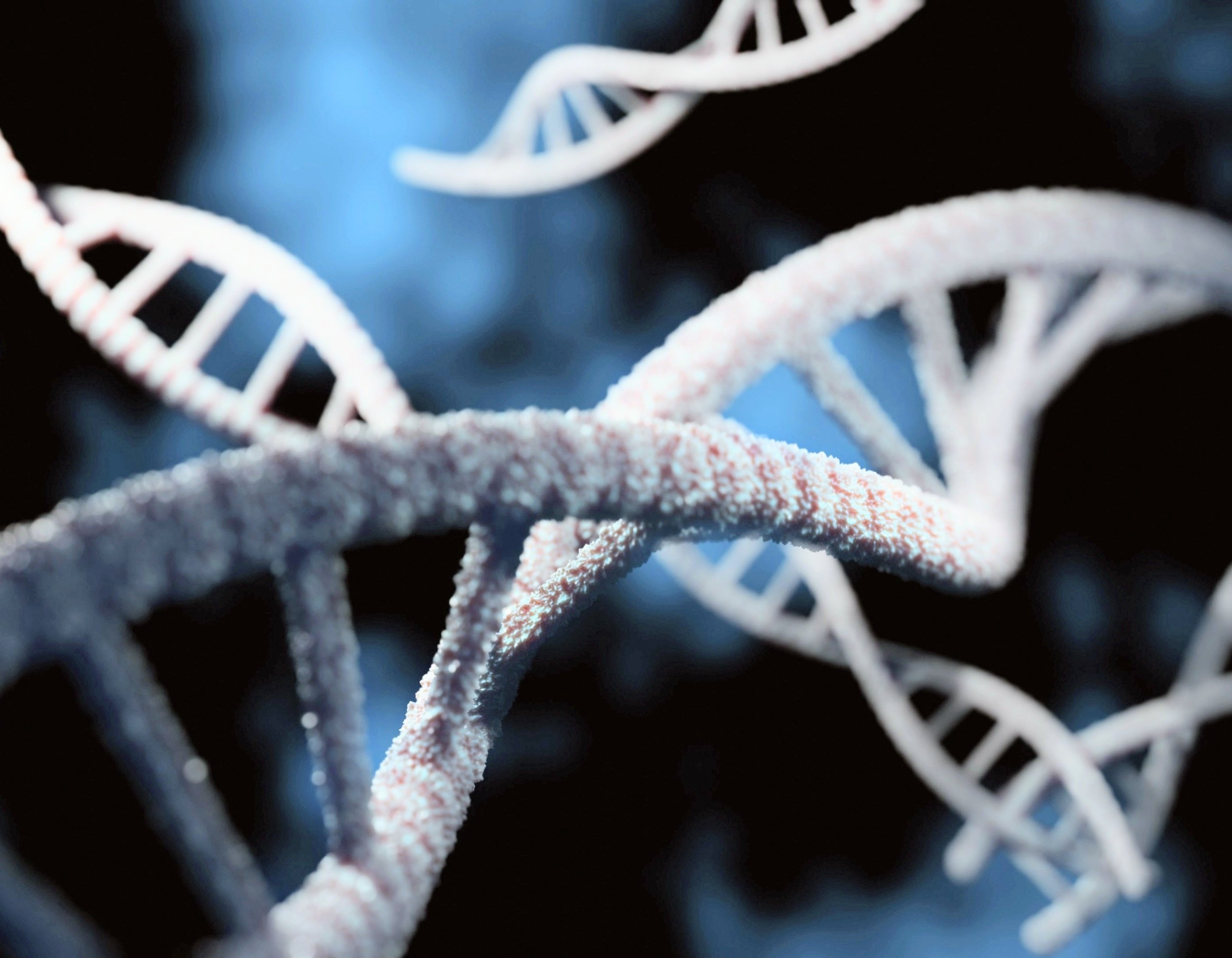 Small bones prove Neanderthals roamed across Eurasia - Earth.com