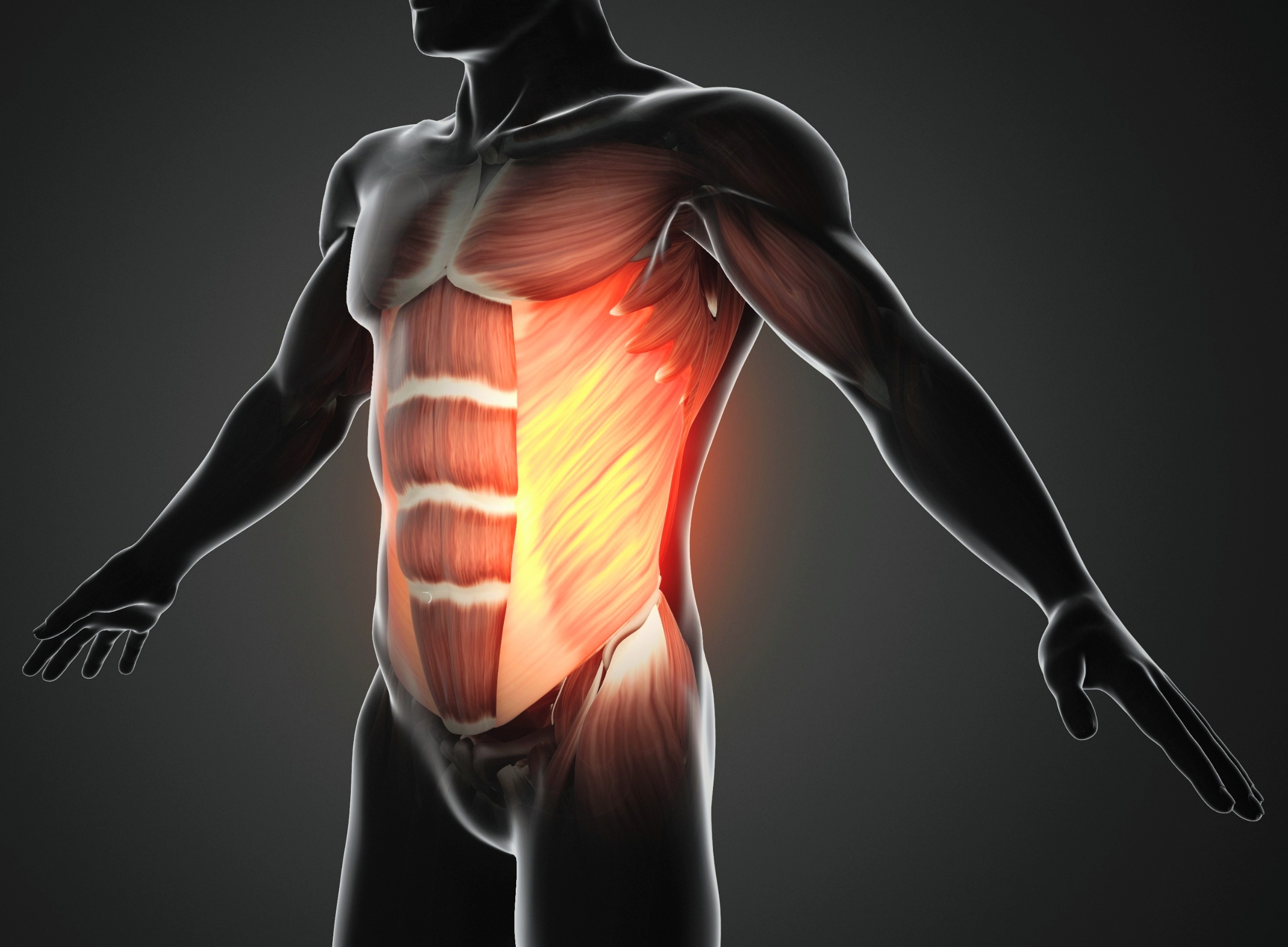 In zero gravity, scientists can print muscle tissue in seconds - Earth.com