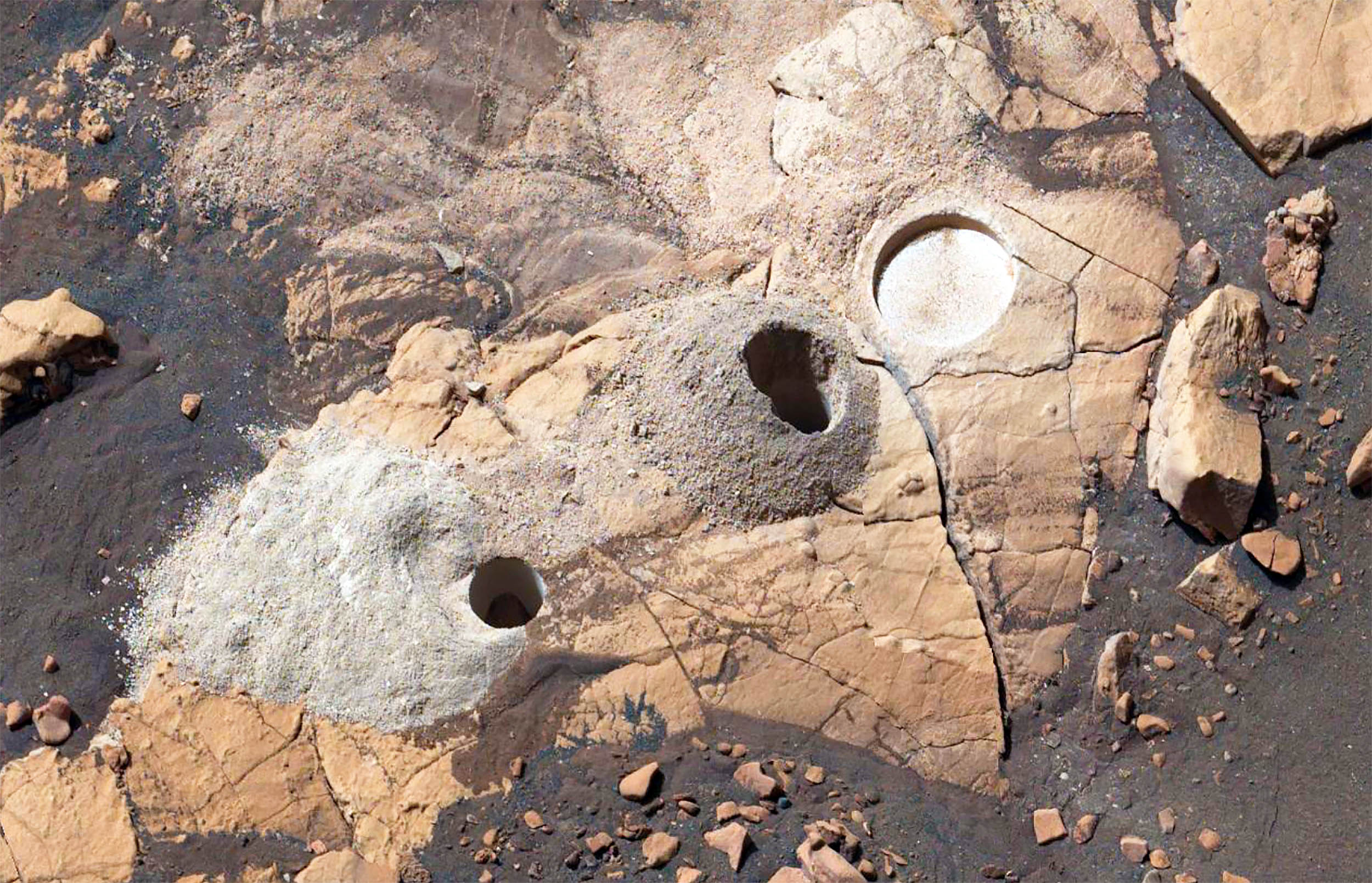 do we have mars soil samples