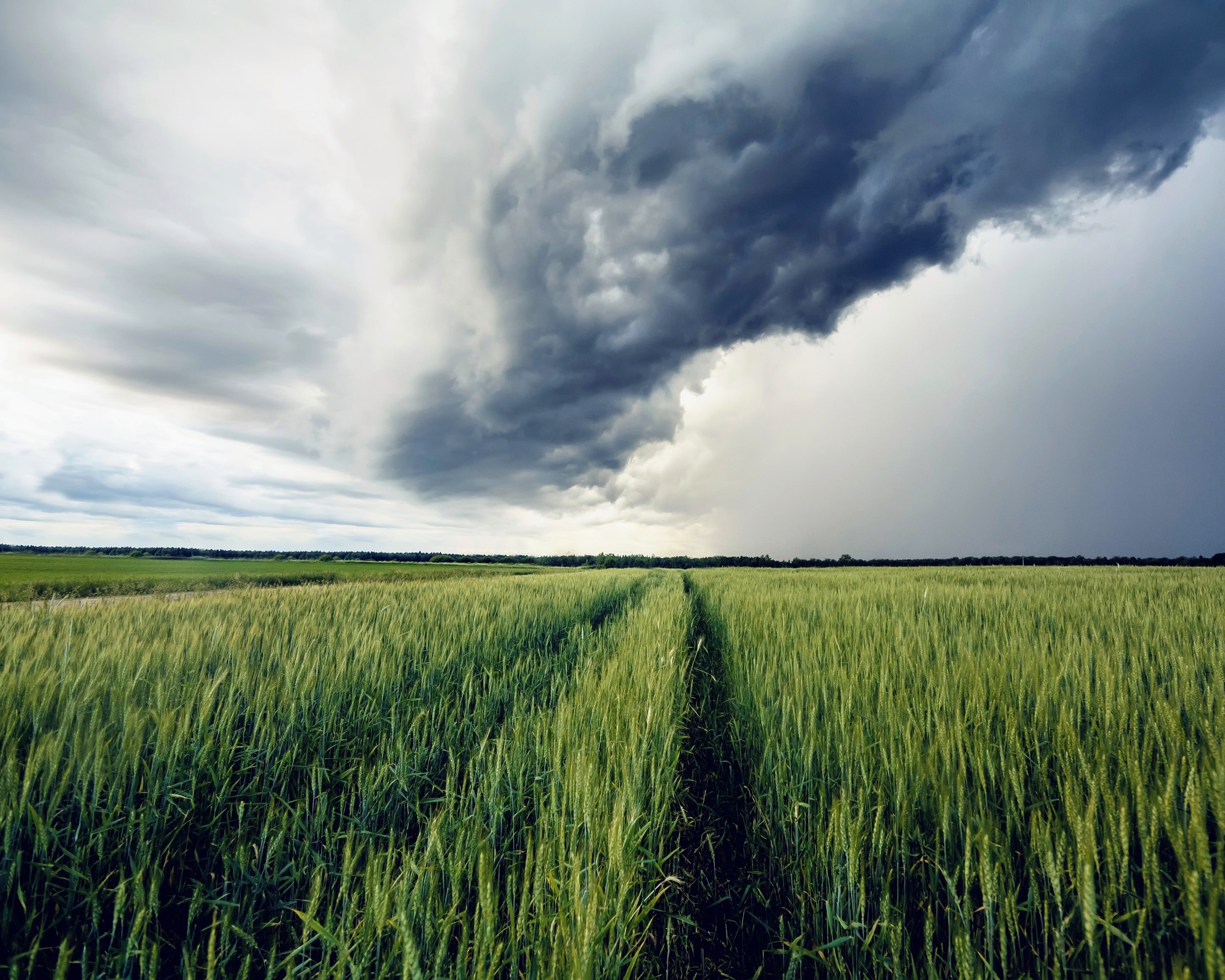 How a silver crystal can turn clouds into rain - Earth.com