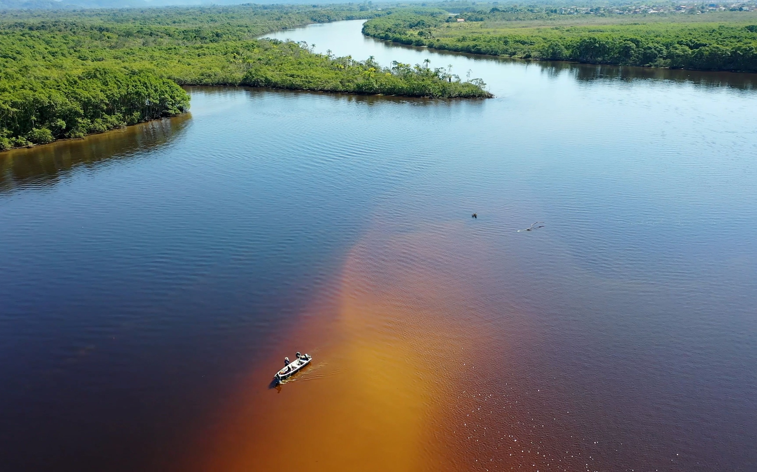What drove Amazon lakes to hit their hottest temperatures ever - Earth.com