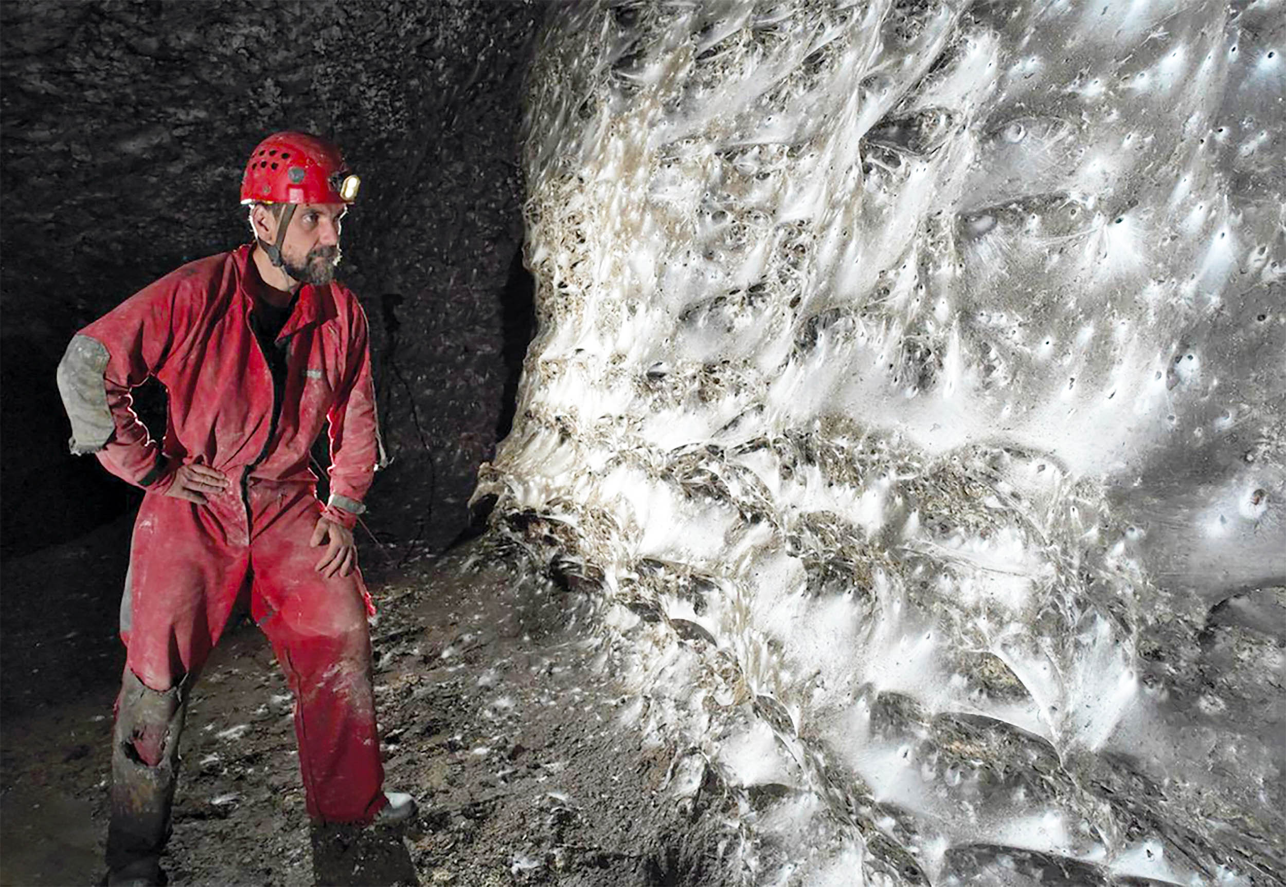 Massive colony found with 111,000 spiders from different species ...