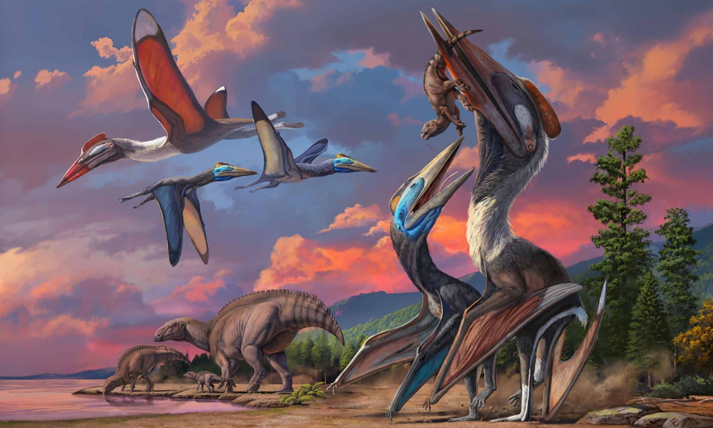Small and mid-sized pterosaurs lived side by side in Mongolia - Earth.com