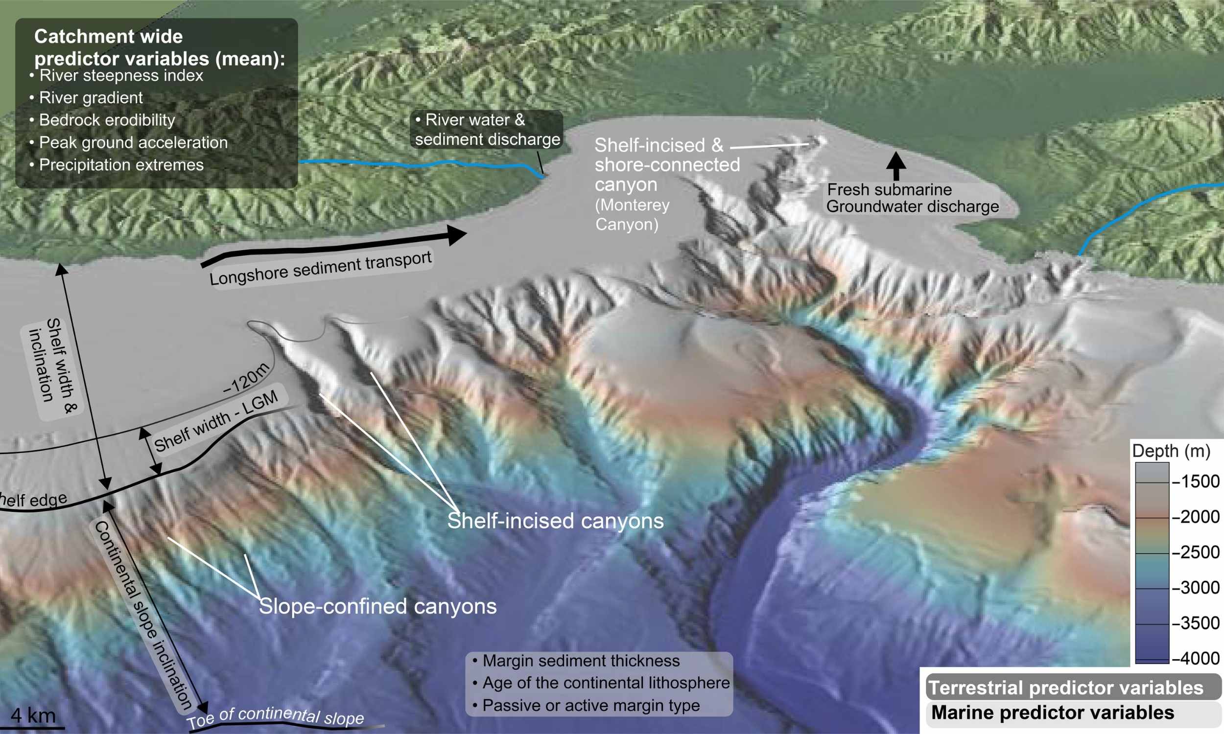 Scientists learn that submarine canyons are not formed by rivers ...