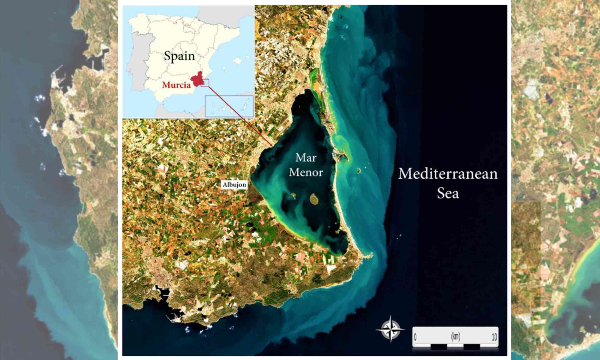 Ocean life is fleeing Mar Menor due to a lack of oxygen - Earth.com