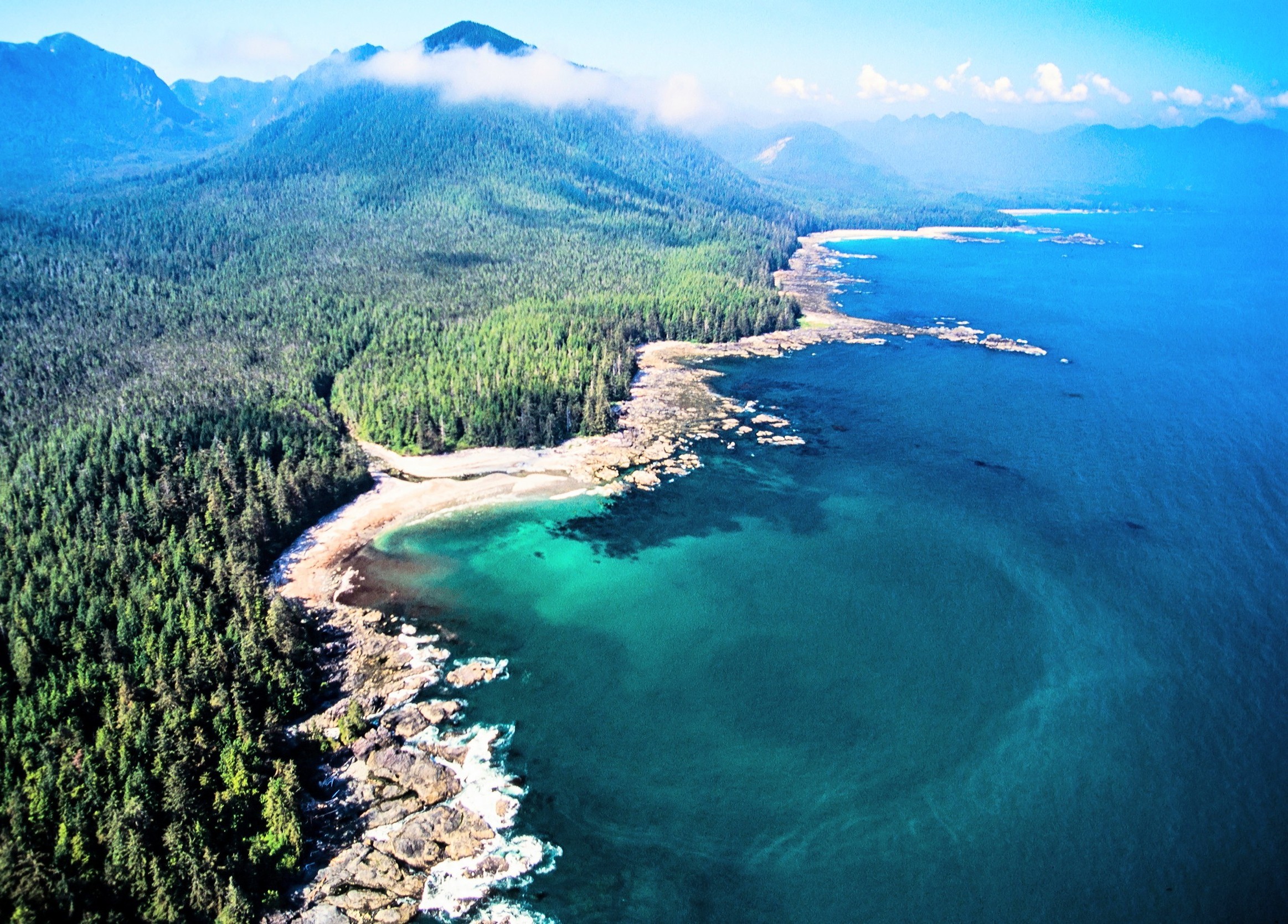 Coastal waters are acidifying much faster than scientists expected ...