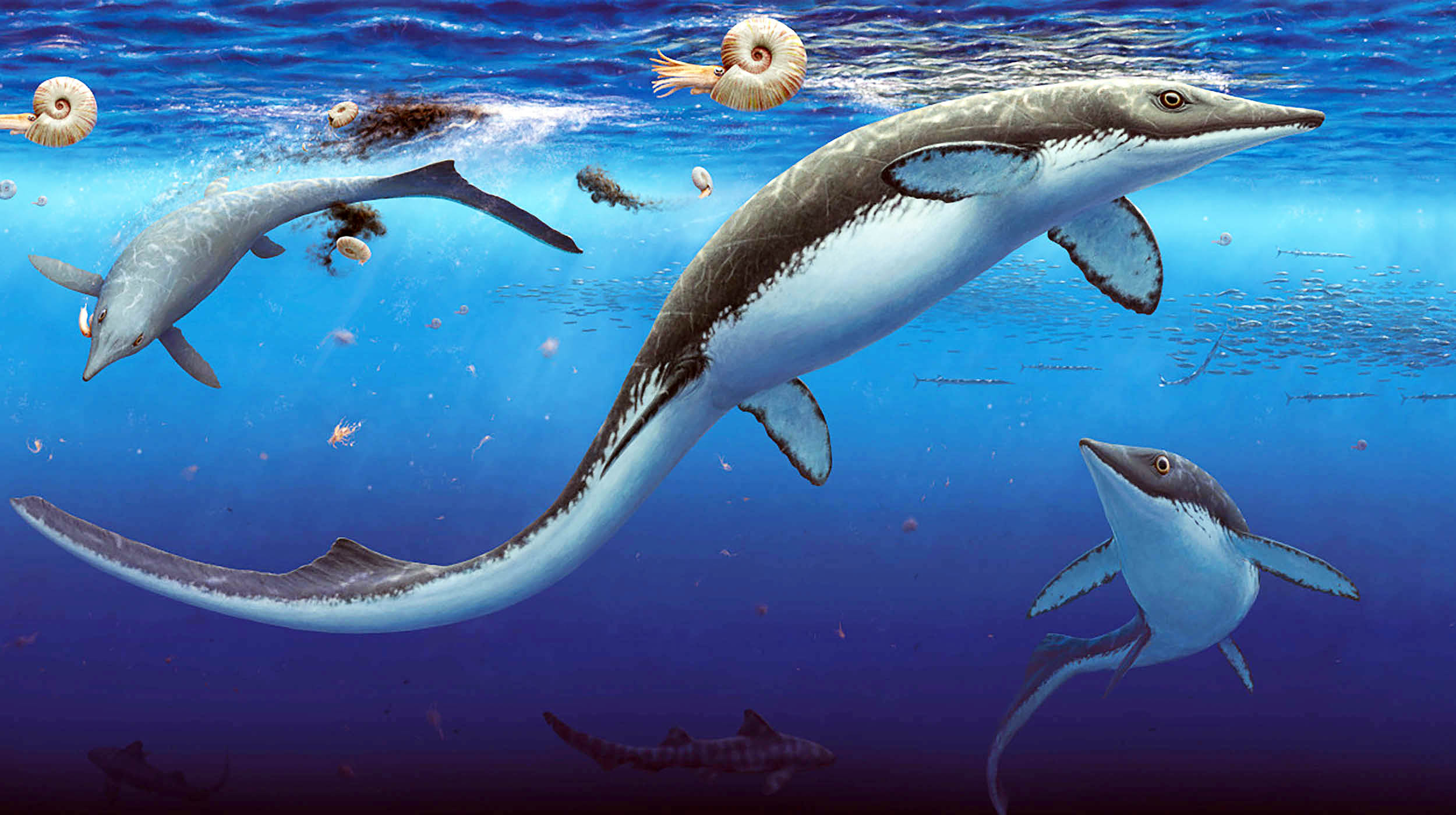 Marine ecosystem was thriving in the Arctic 250 million years ago ...