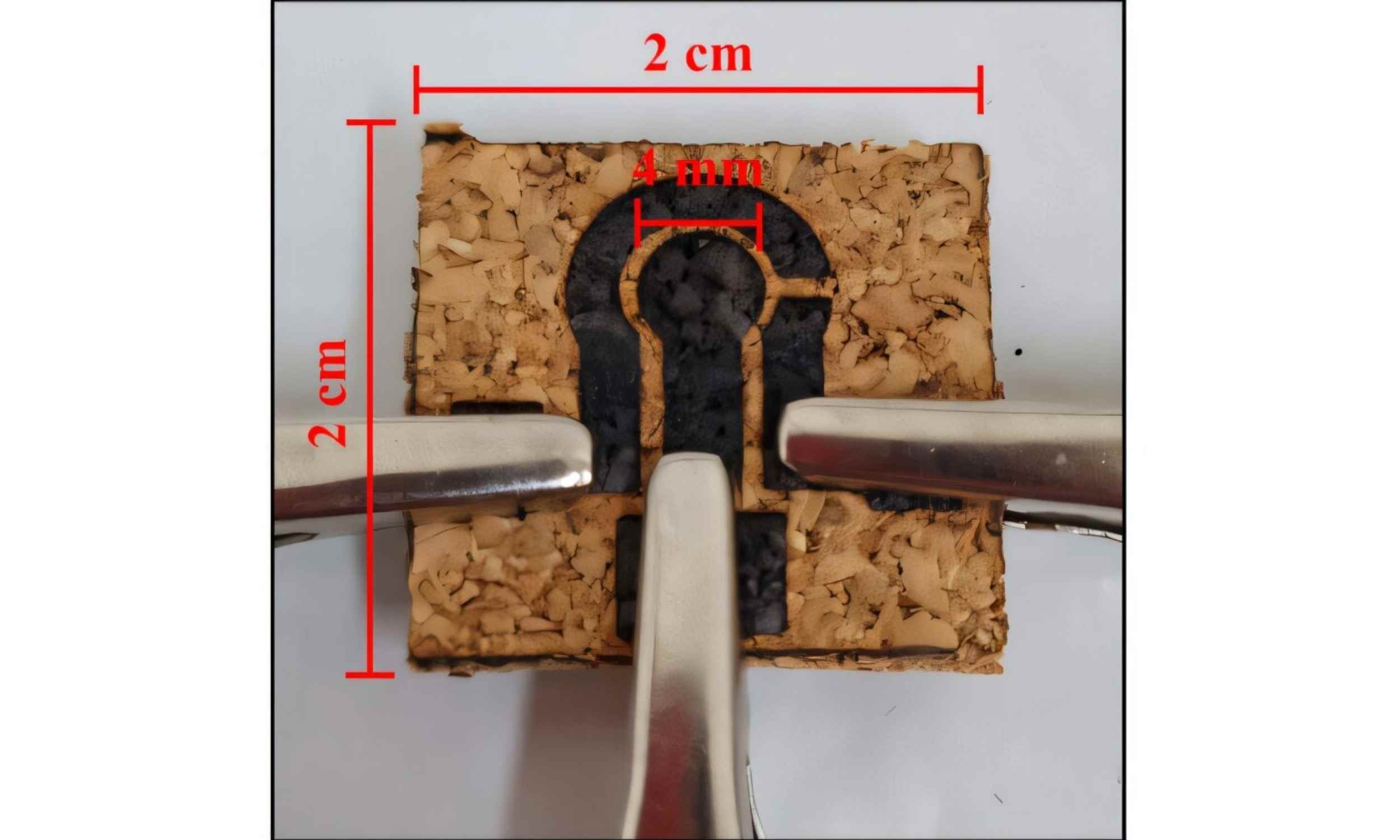 Scientists build a sensor from cork to test nitrite levels in beverages ...