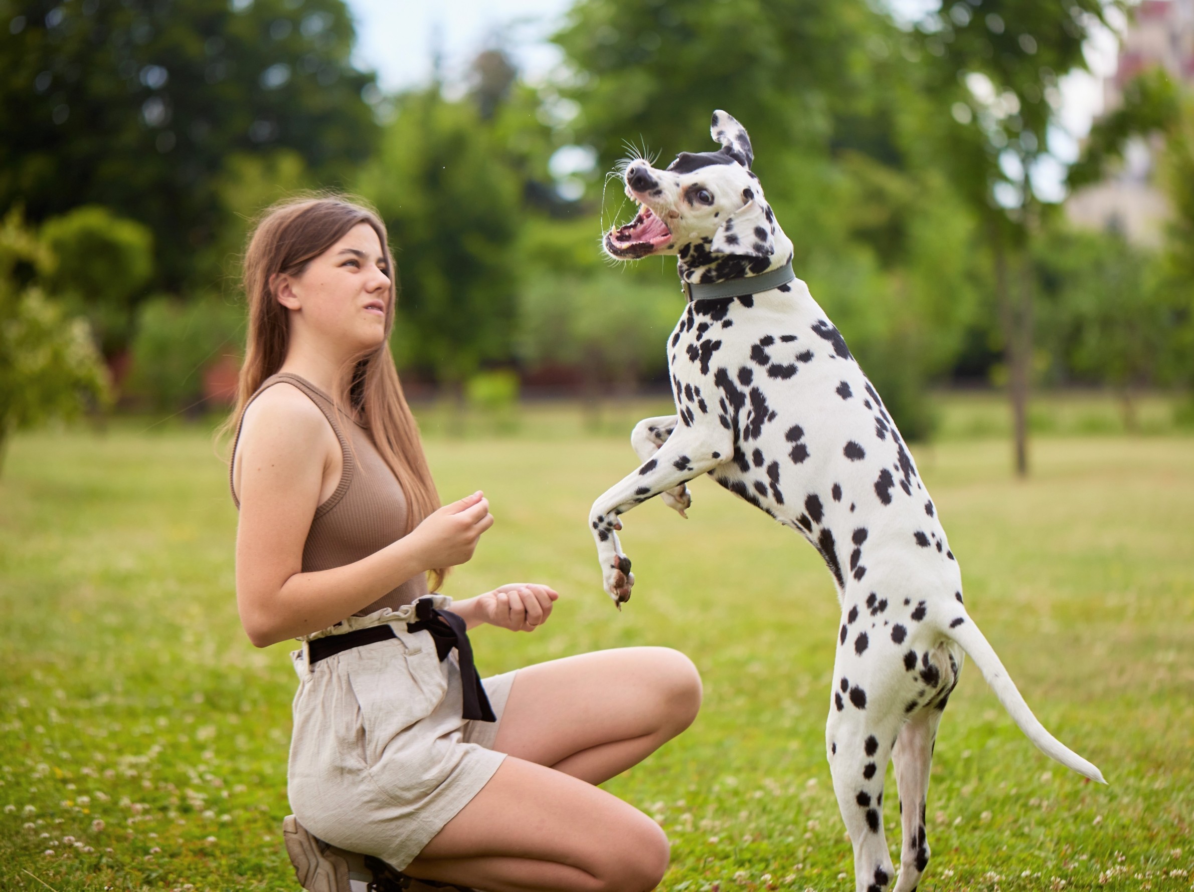 Dog 'ADHD' impacts learning, but small changes can help - Earth.com