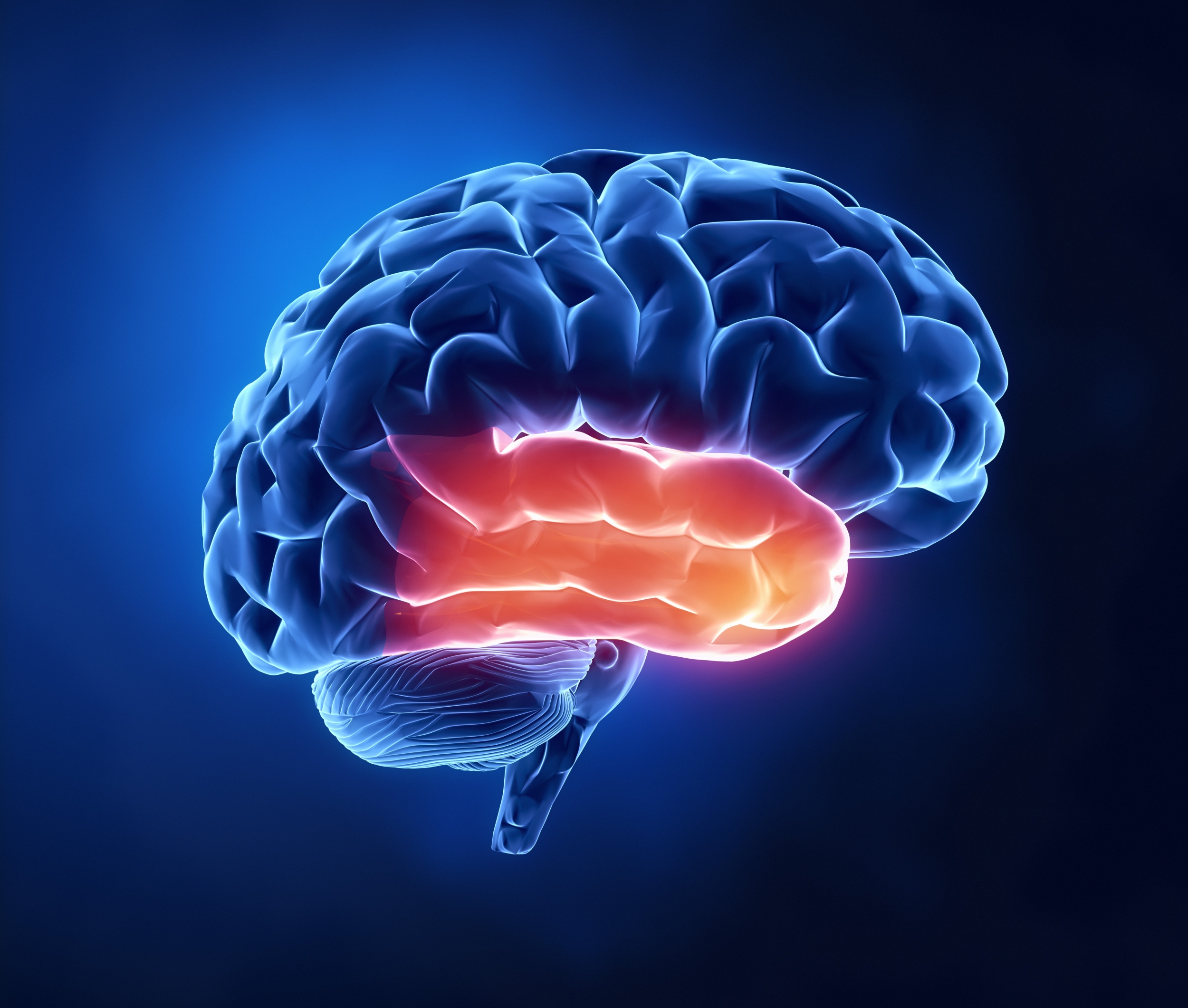 Your brain slices speech into words faster than you blink - Earth.com