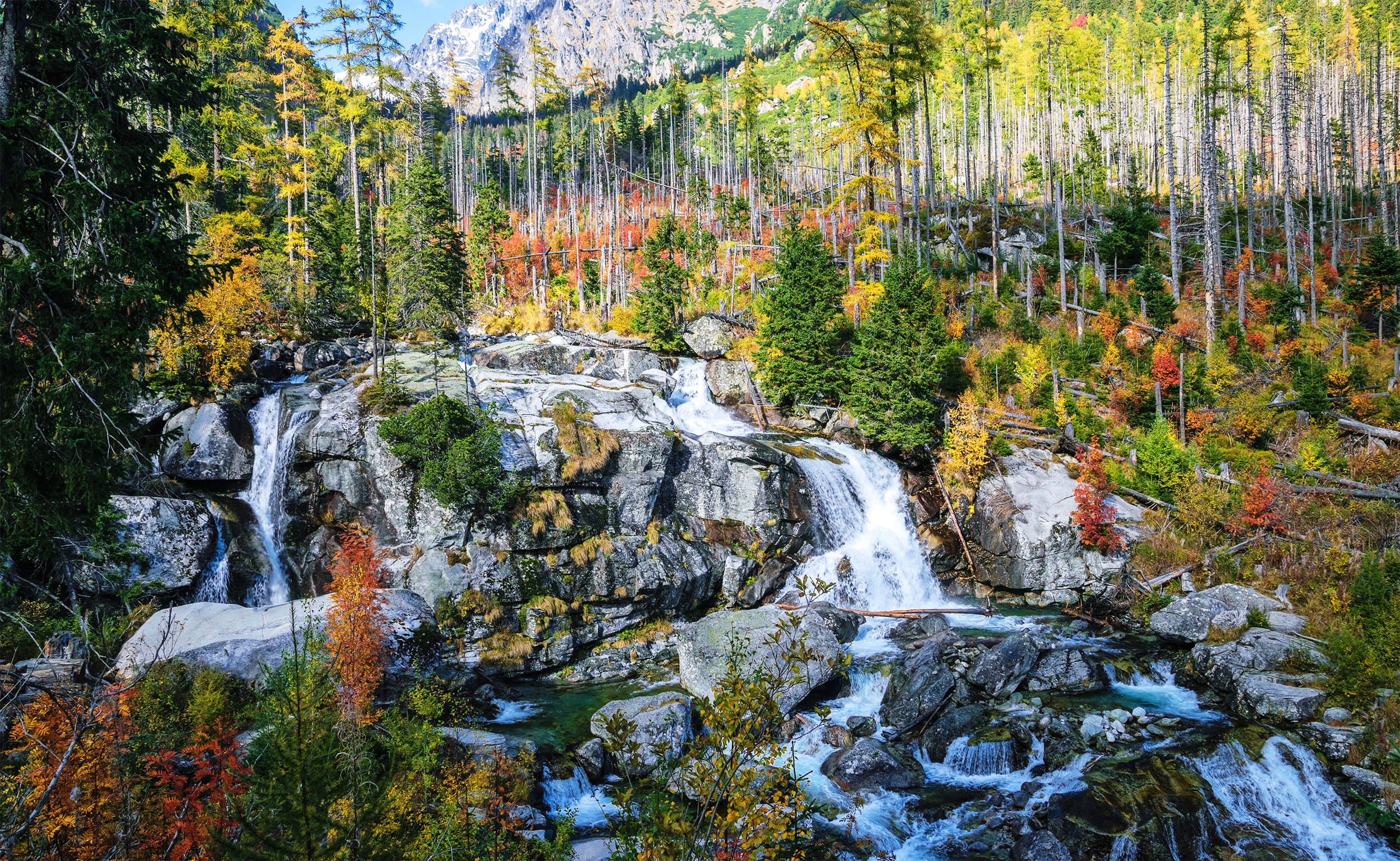 Scientists trace the origin of water streams at the top of mountains ...