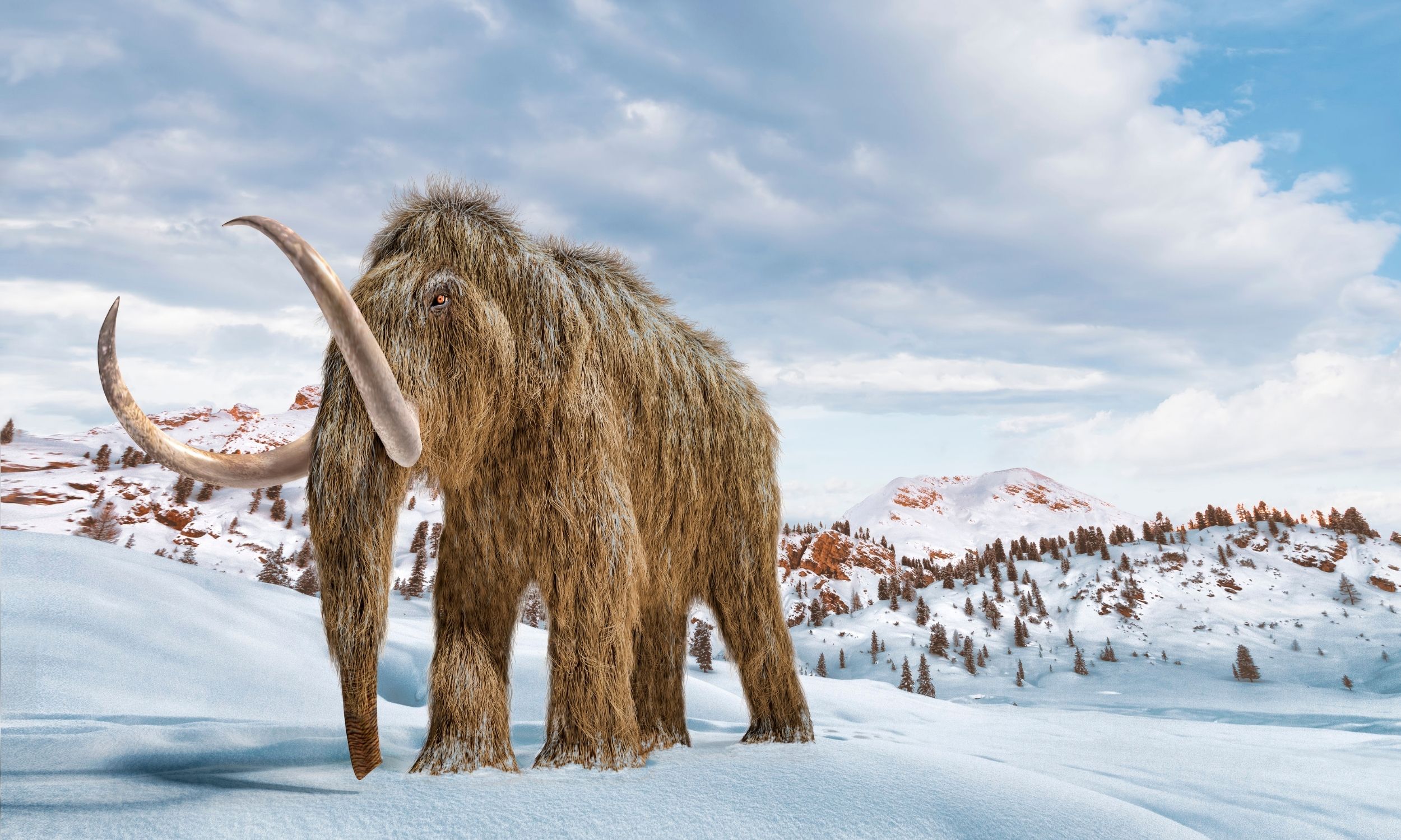 Oldest microbial DNA was found in a 1-million-year-old mammoth - Earth.com