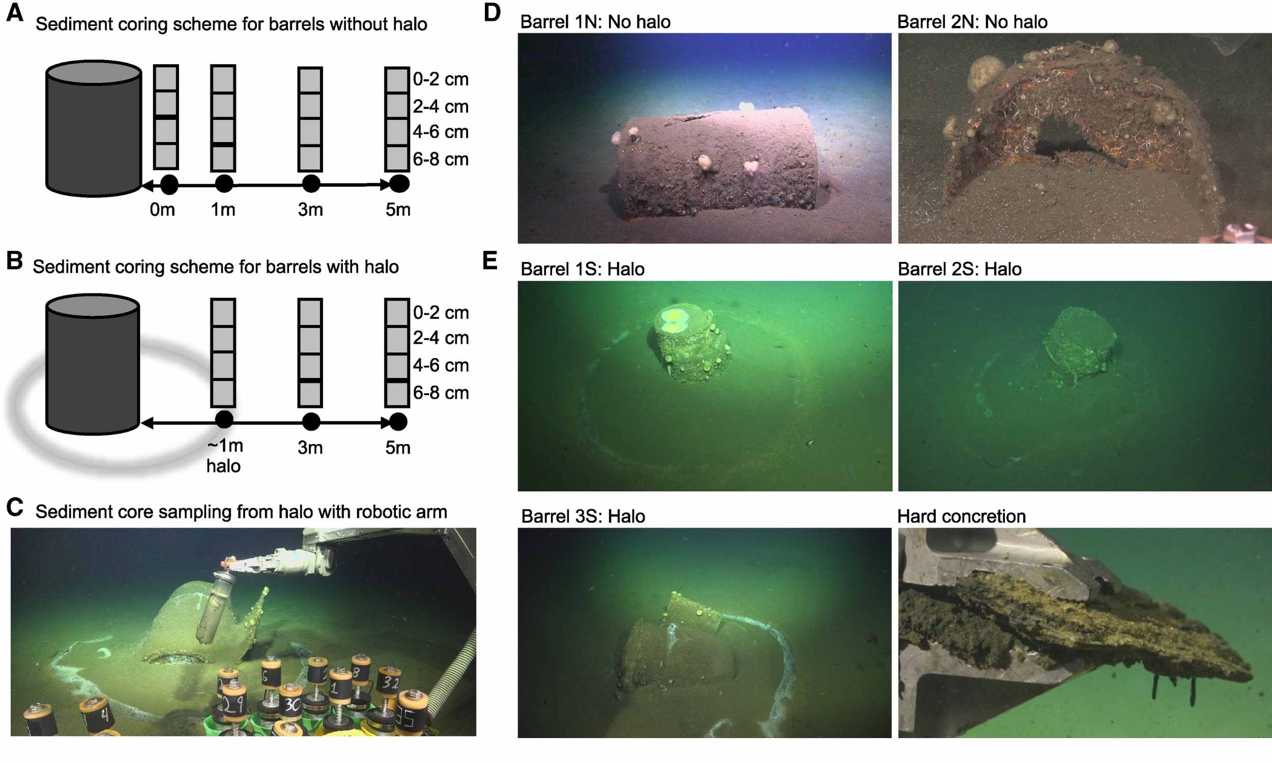Toxic barrels dumped off the LA coast kill all life, including bacteria ...