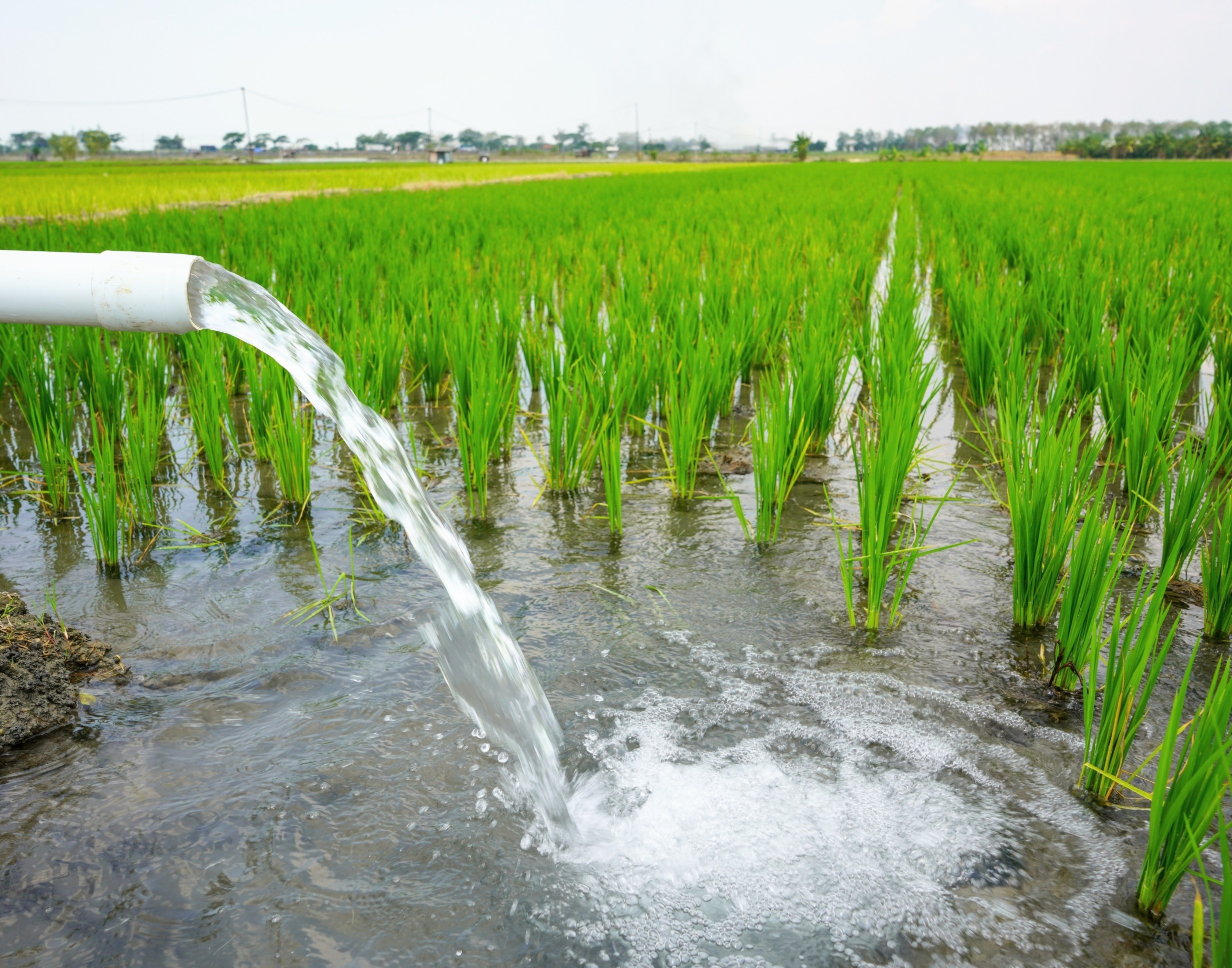 How Earth loses 324 billion cubic meters of freshwater yearly - Earth.com