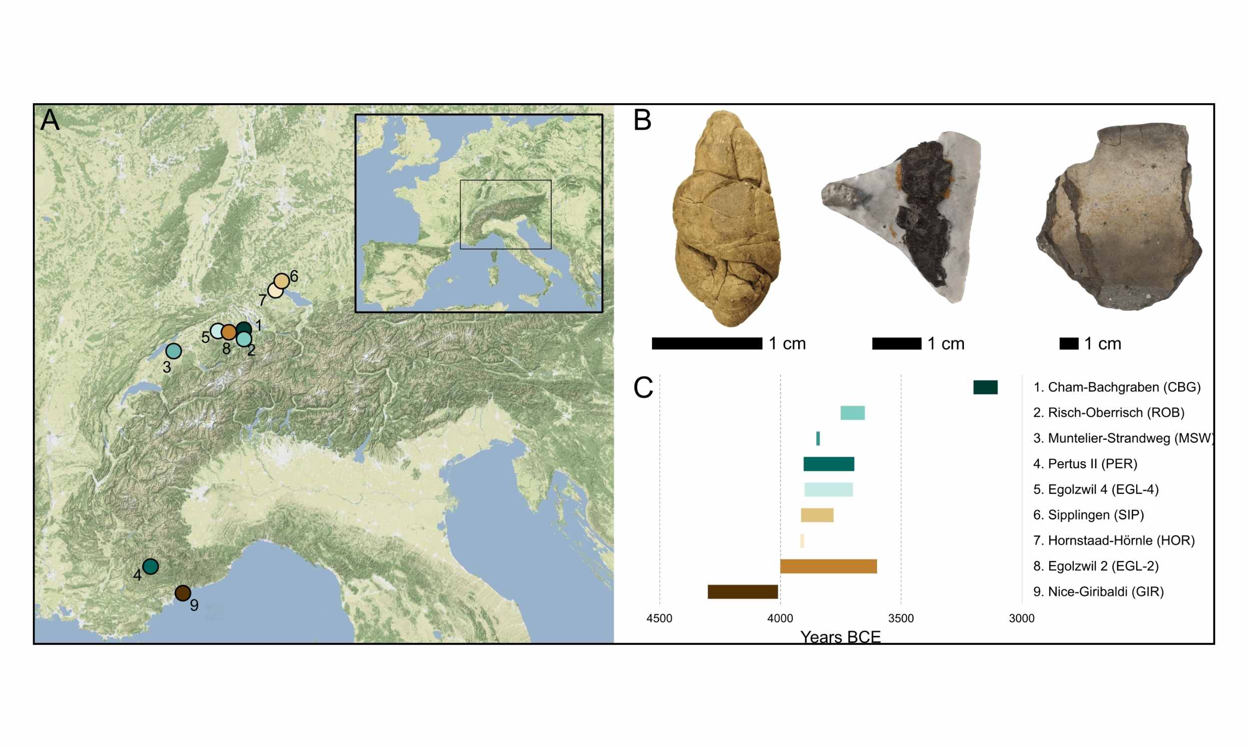 6,000-year-old piece of chewing gum is discovered in the Alps - Earth.com