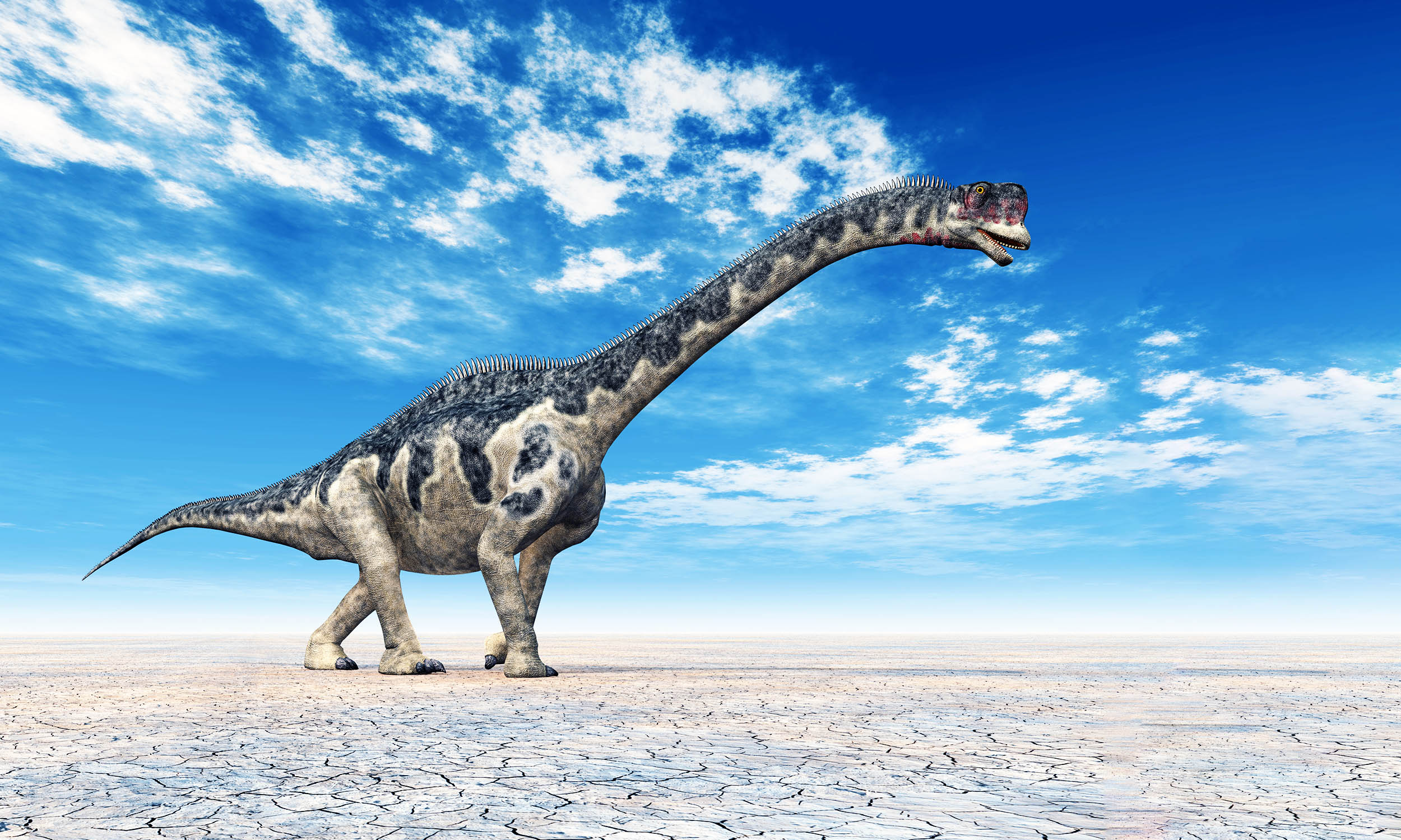Forgotten fossil turns out to be a new species of giant dinosaur ...