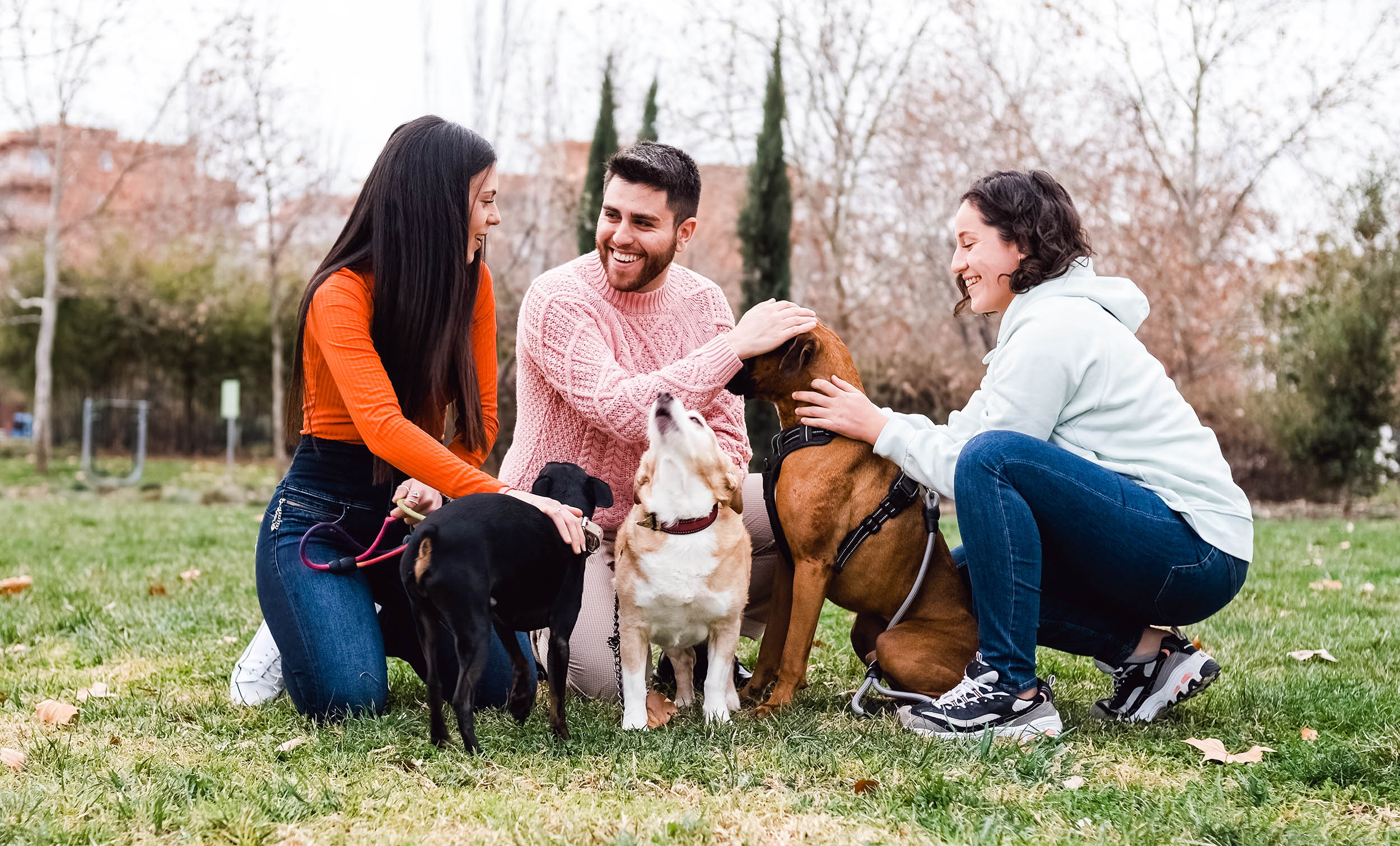 Dog owners feel more connected to their neighborhoods - Earth.com