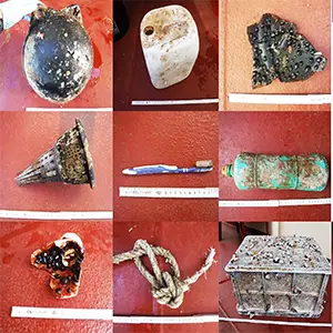 The Great Pacific Garbage Patch is now so large it is home to dozens of ...