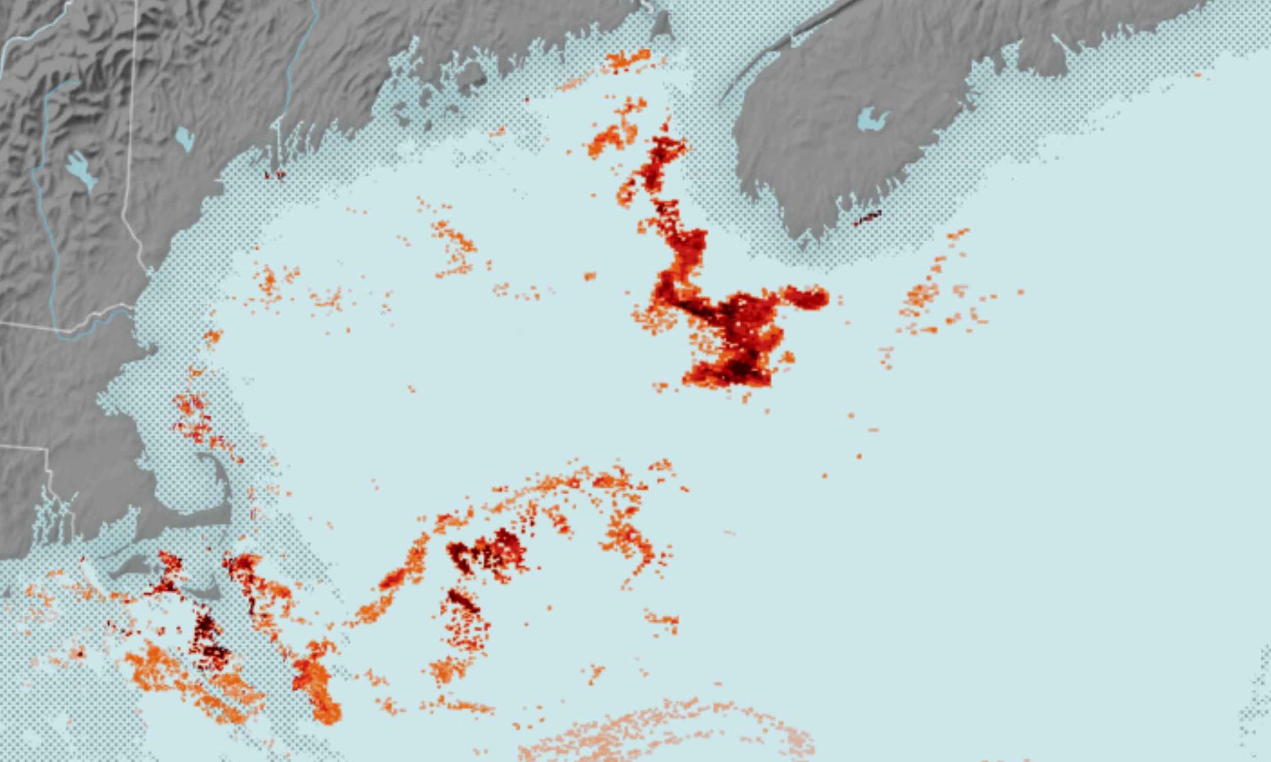 NASA satellite reveals tiny red plankton vital for endangered whales