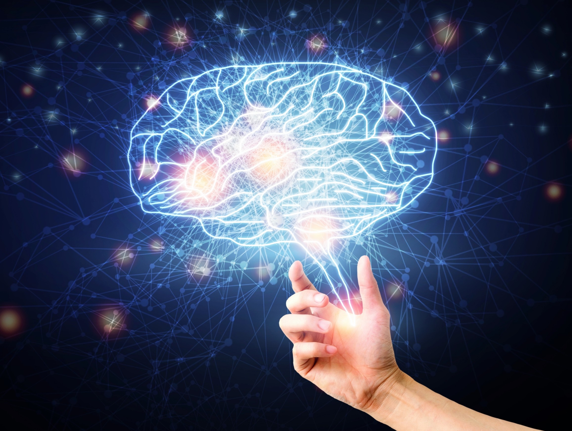 Your brain learns from imagination like real experience - Earth.com