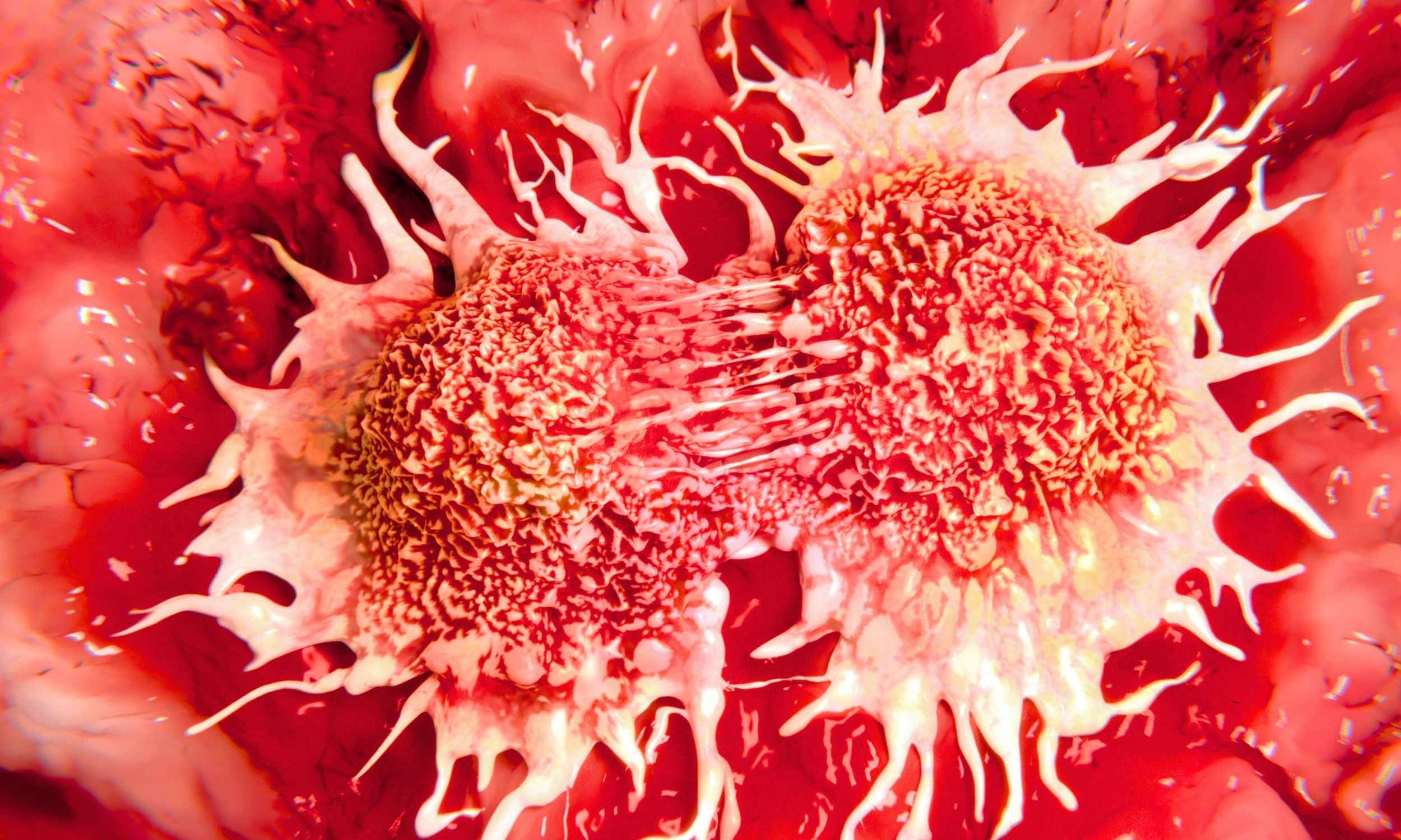 Turning mutant proteins into drugs that attack cancer's weak spots ...