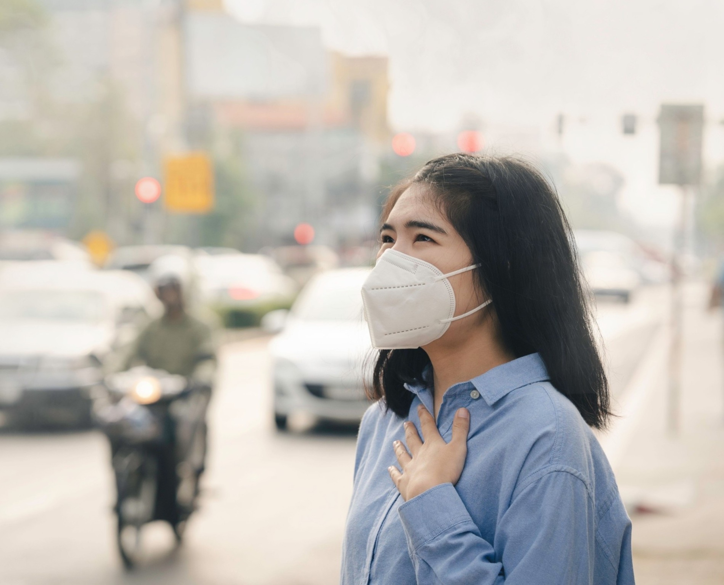 Breathing polluted air may be changing your immune system - Earth.com