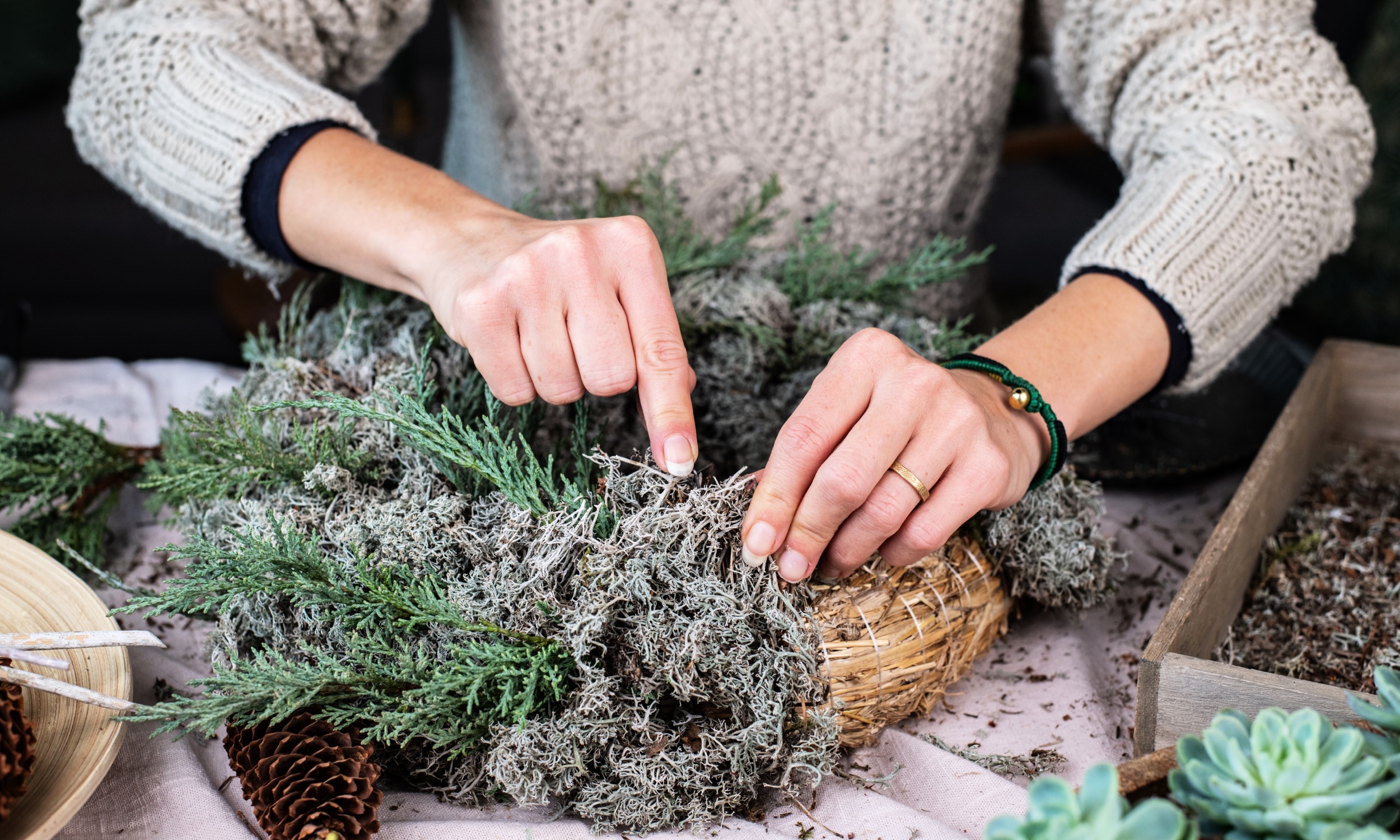 Your Christmas decorations may contain DNA from nearby animals- Earth.com