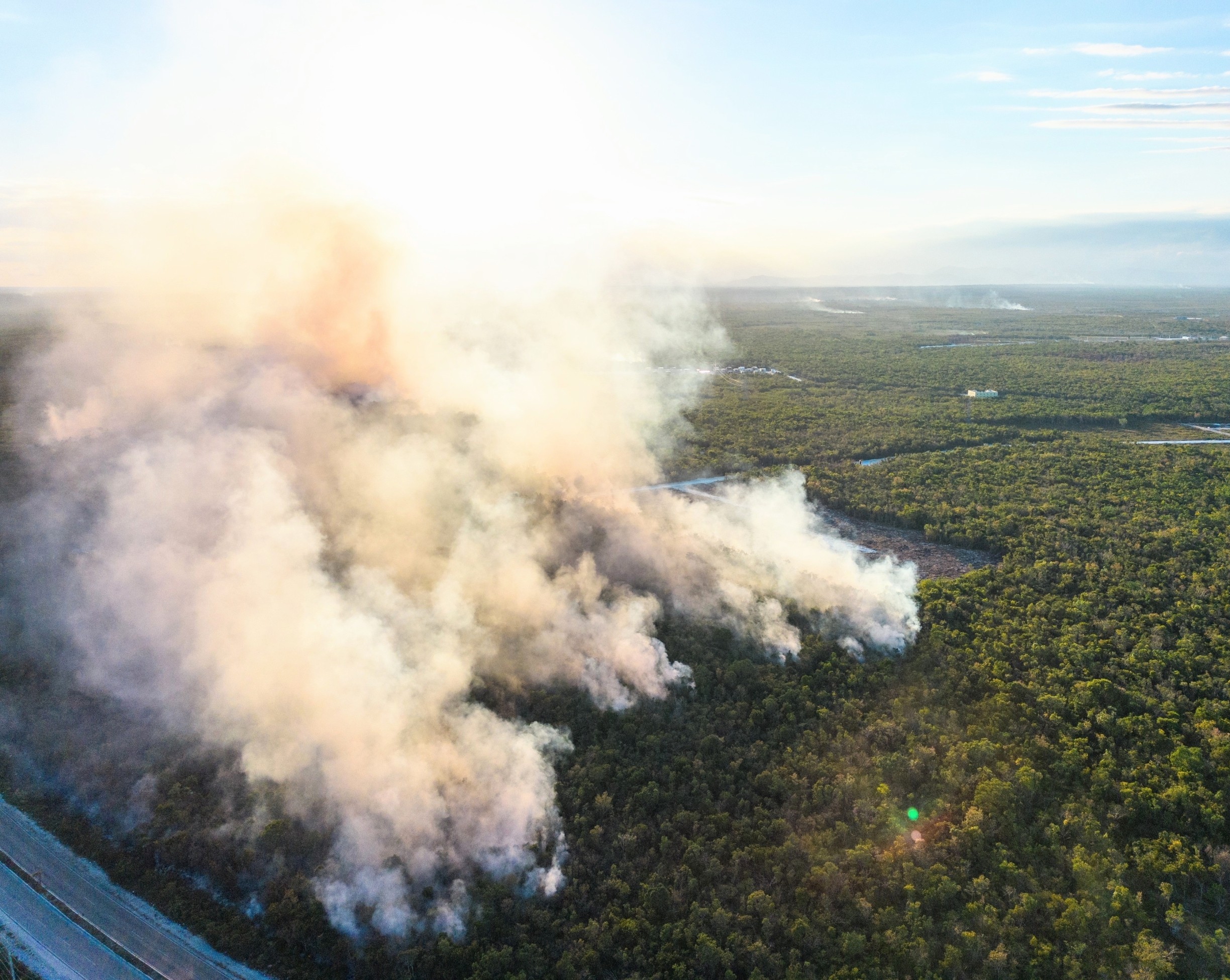 Wildfire smoke now offsets decades of cleaner air progress - Earth.com