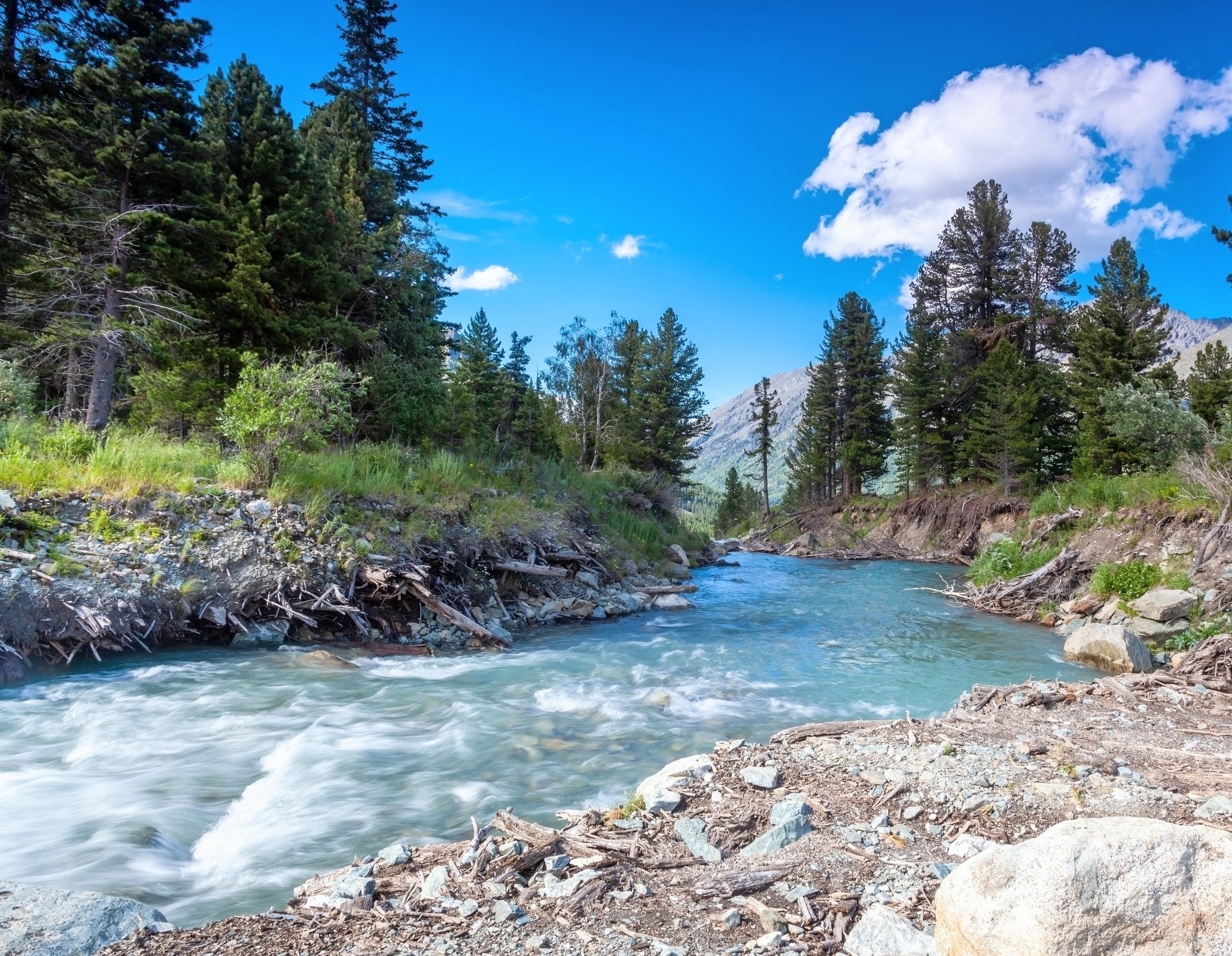 Environmental changes shape evolution in unexpected ways - Earth.com
