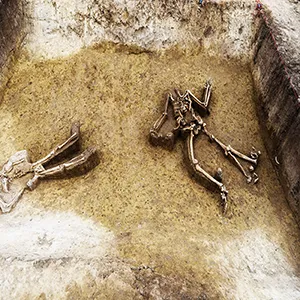 Headless skeletons reveal organized violence among Europe’s first ...