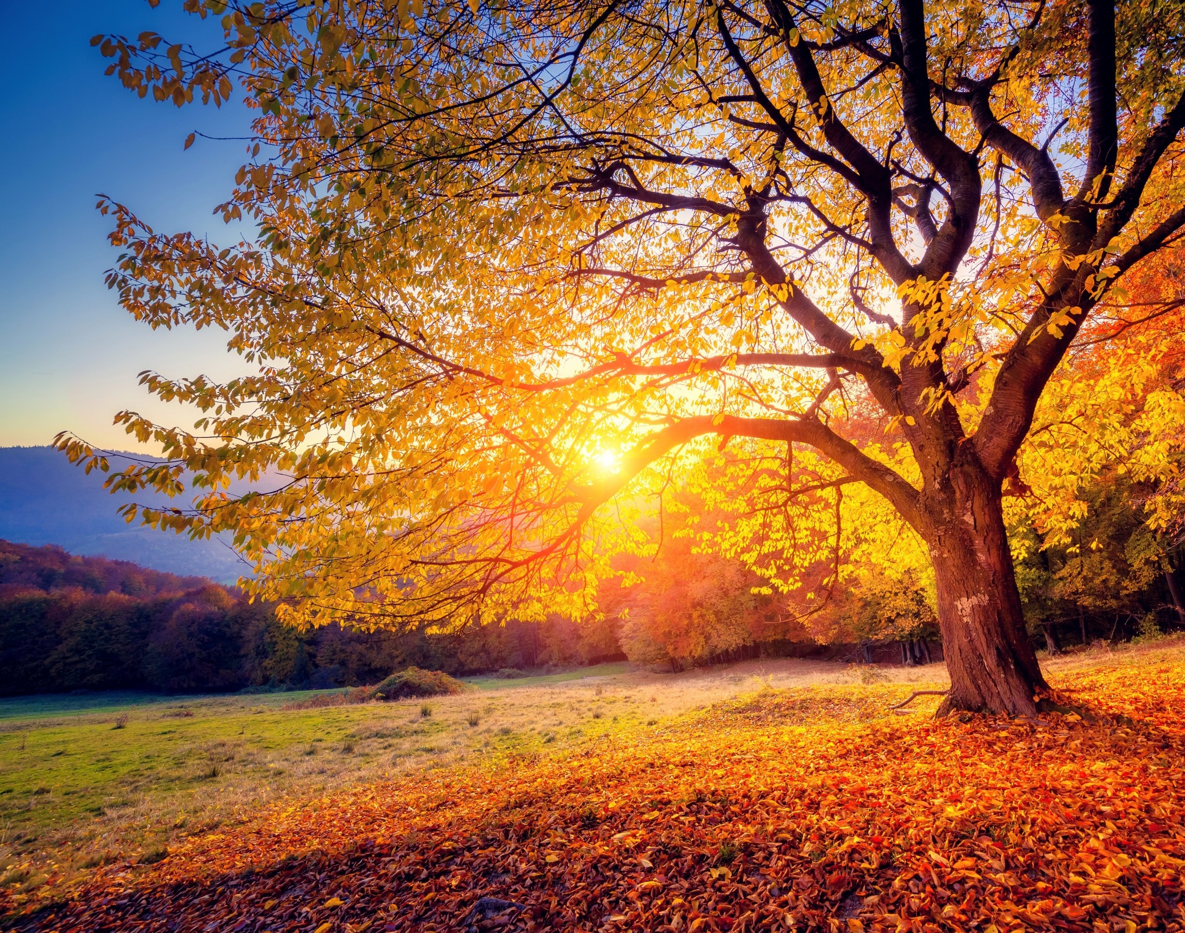 When clocks fall back in autumn, clinics see fewer visits - Earth.com