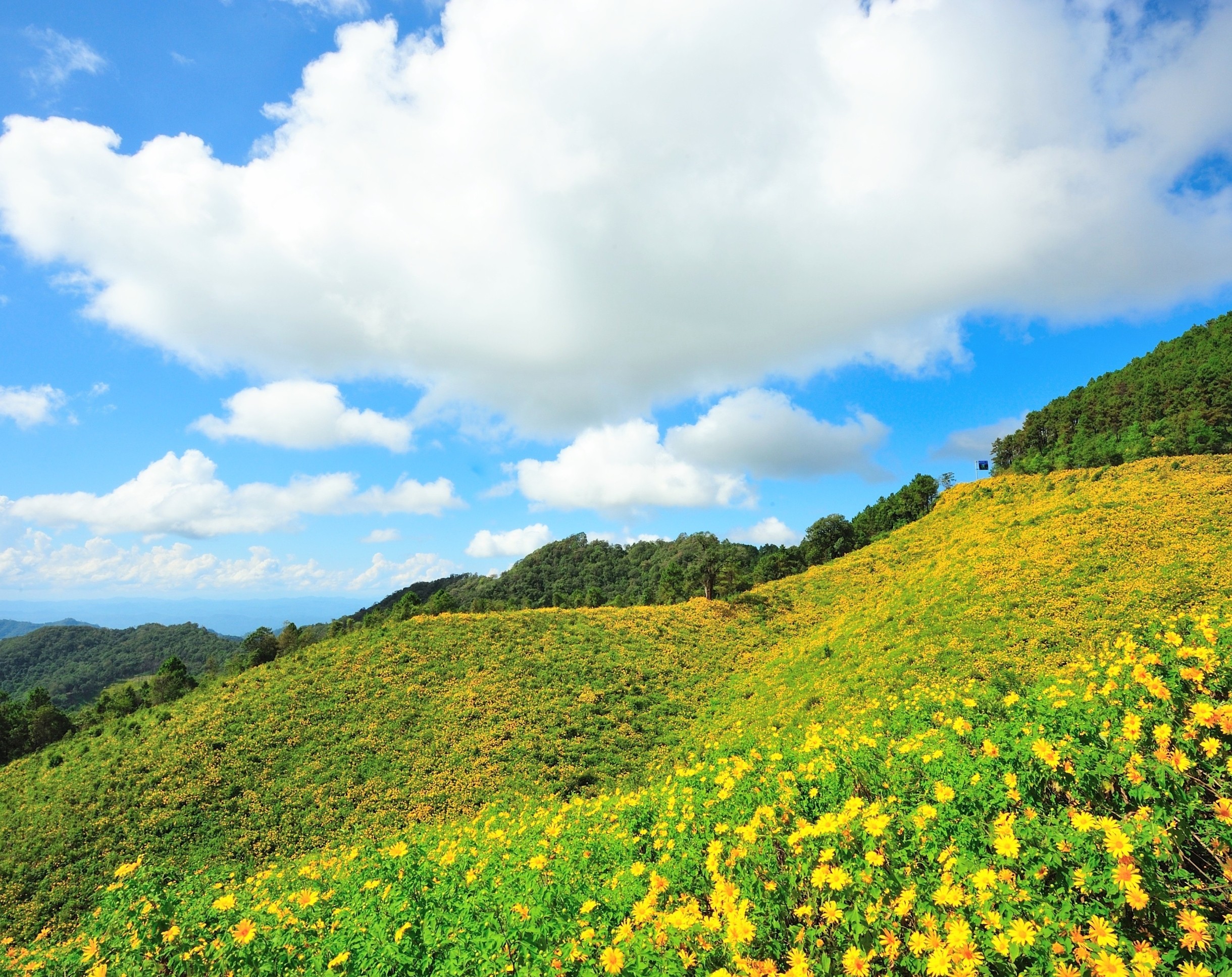 Natural environments may reduce fear and anxiety - Earth.com