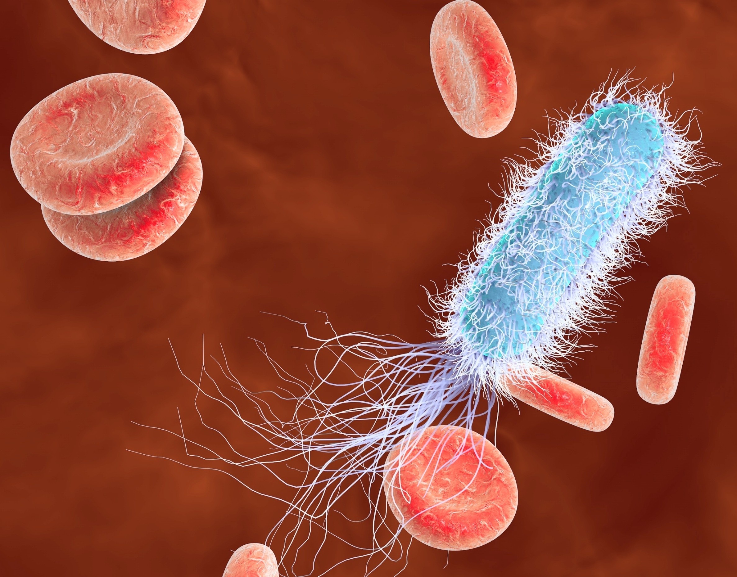 Overlooked microbes may be essential for human health - Earth.com