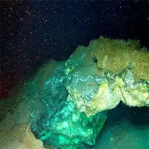 Deep-sea discovery 'rewrites the playbook' for life in Earth's oceans ...