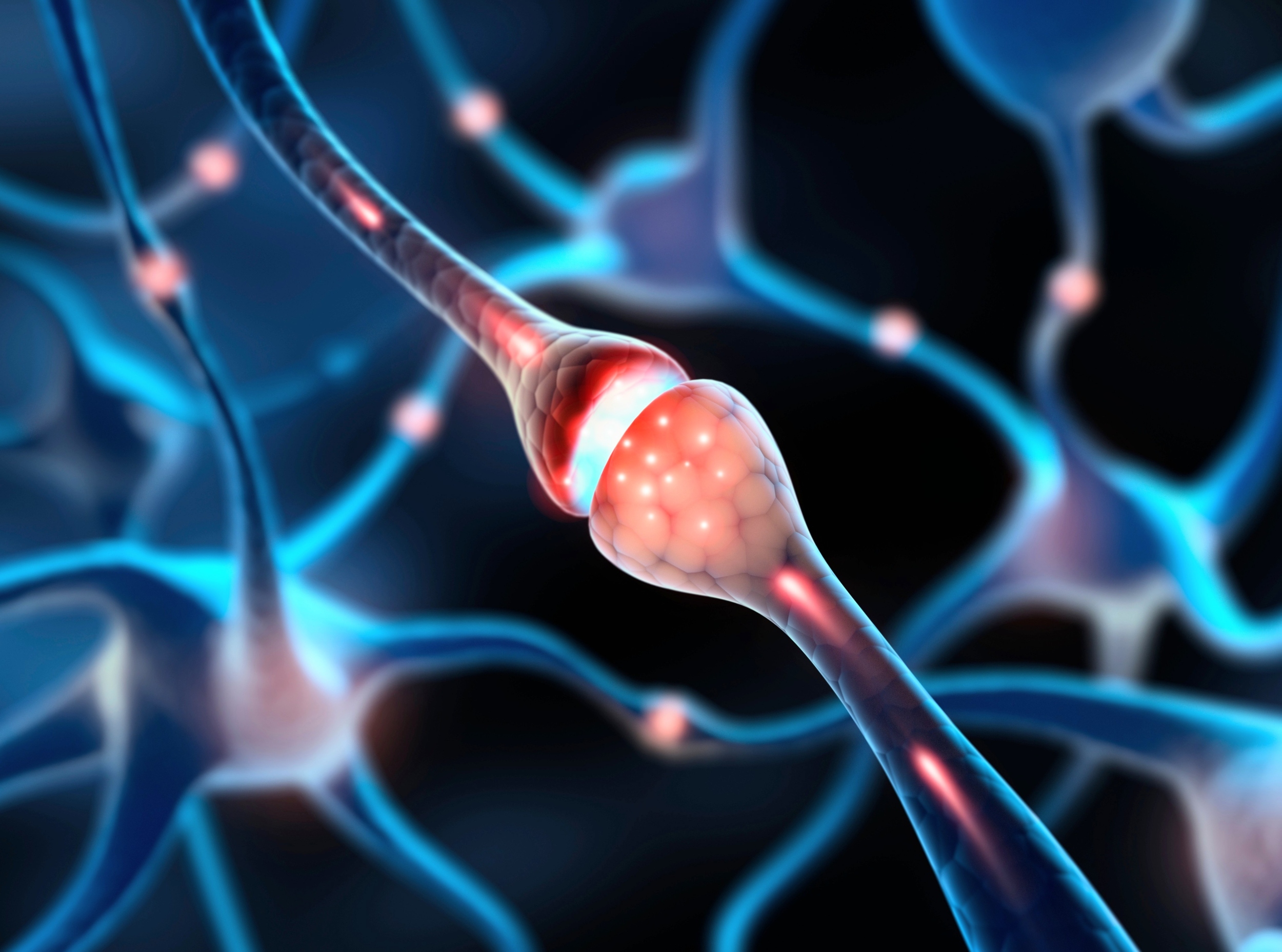 Scientists can now see incoming brain signals that control memory ...