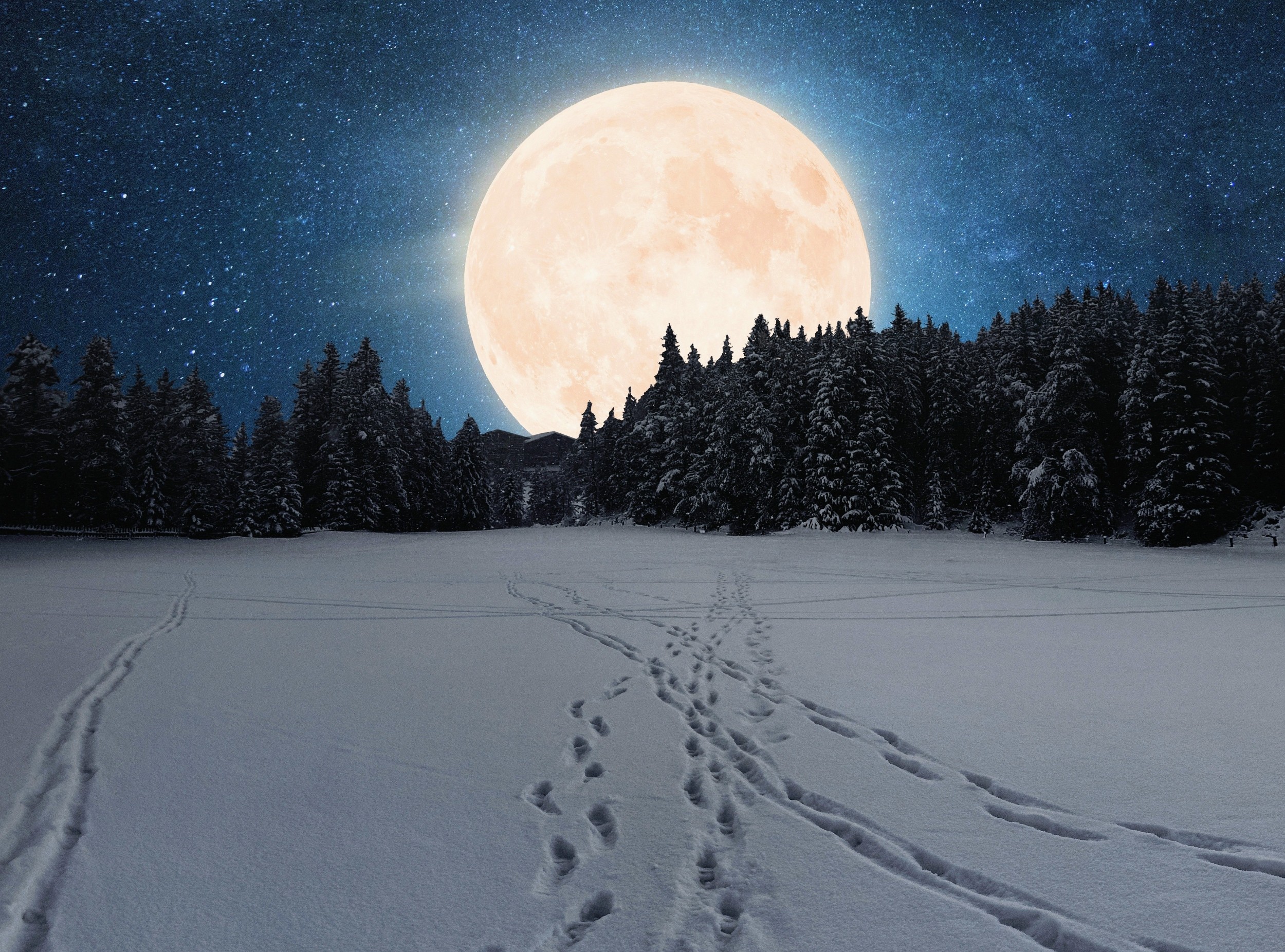 Tante semok on twitter