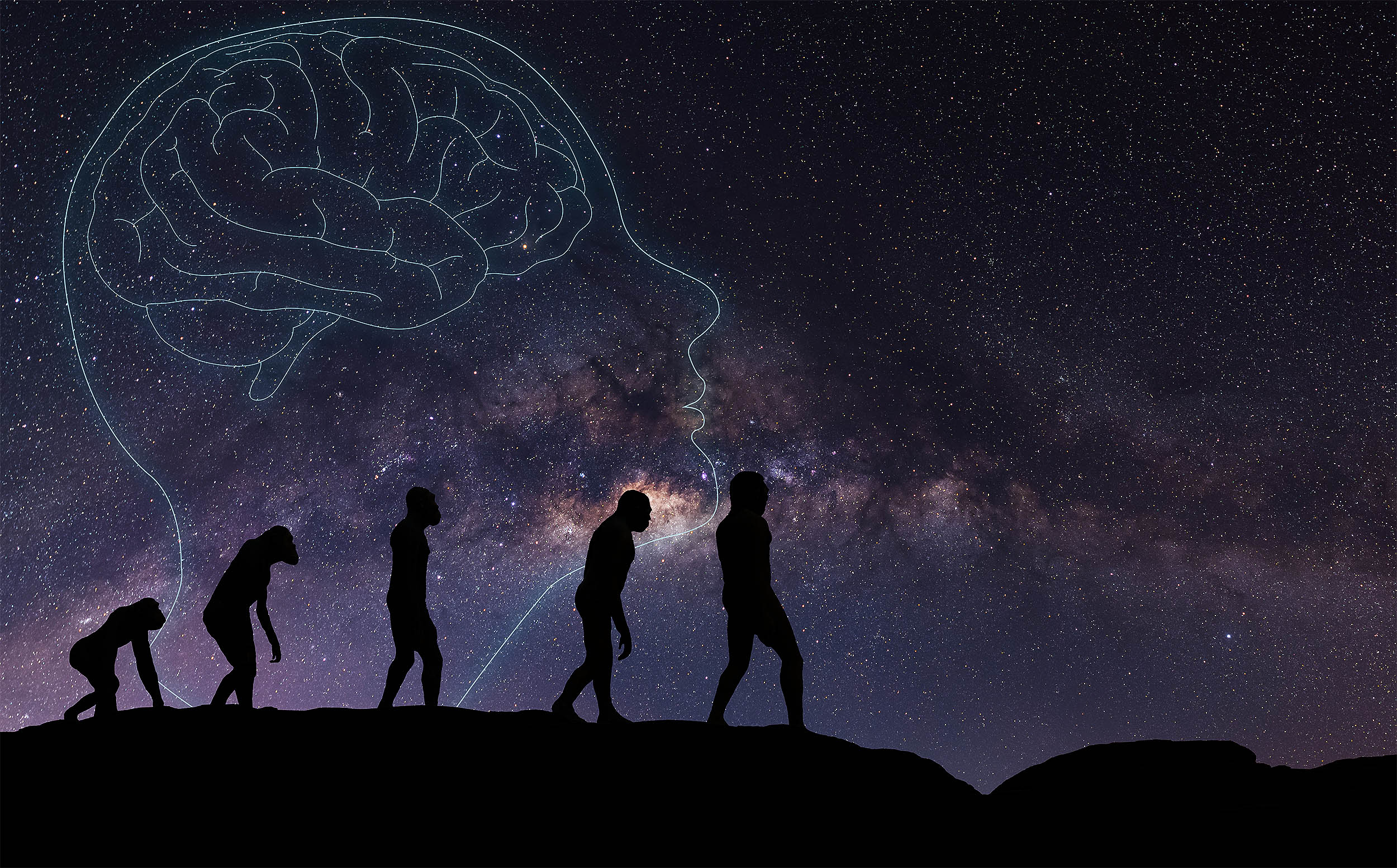 Gut microbes may have shaped how human brains evolved - Earth.com